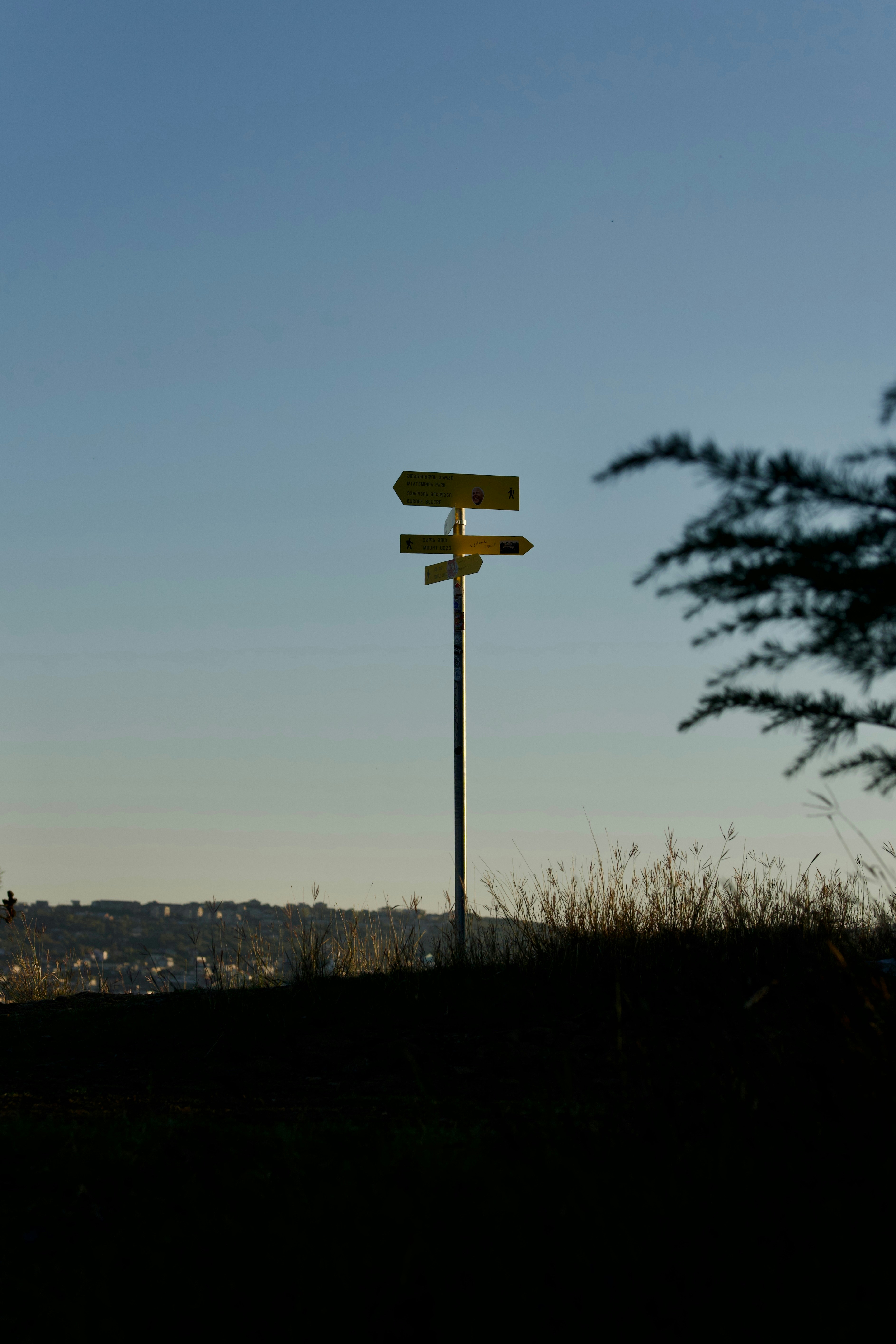 Dusk Signpost Over the Quiet Horizon