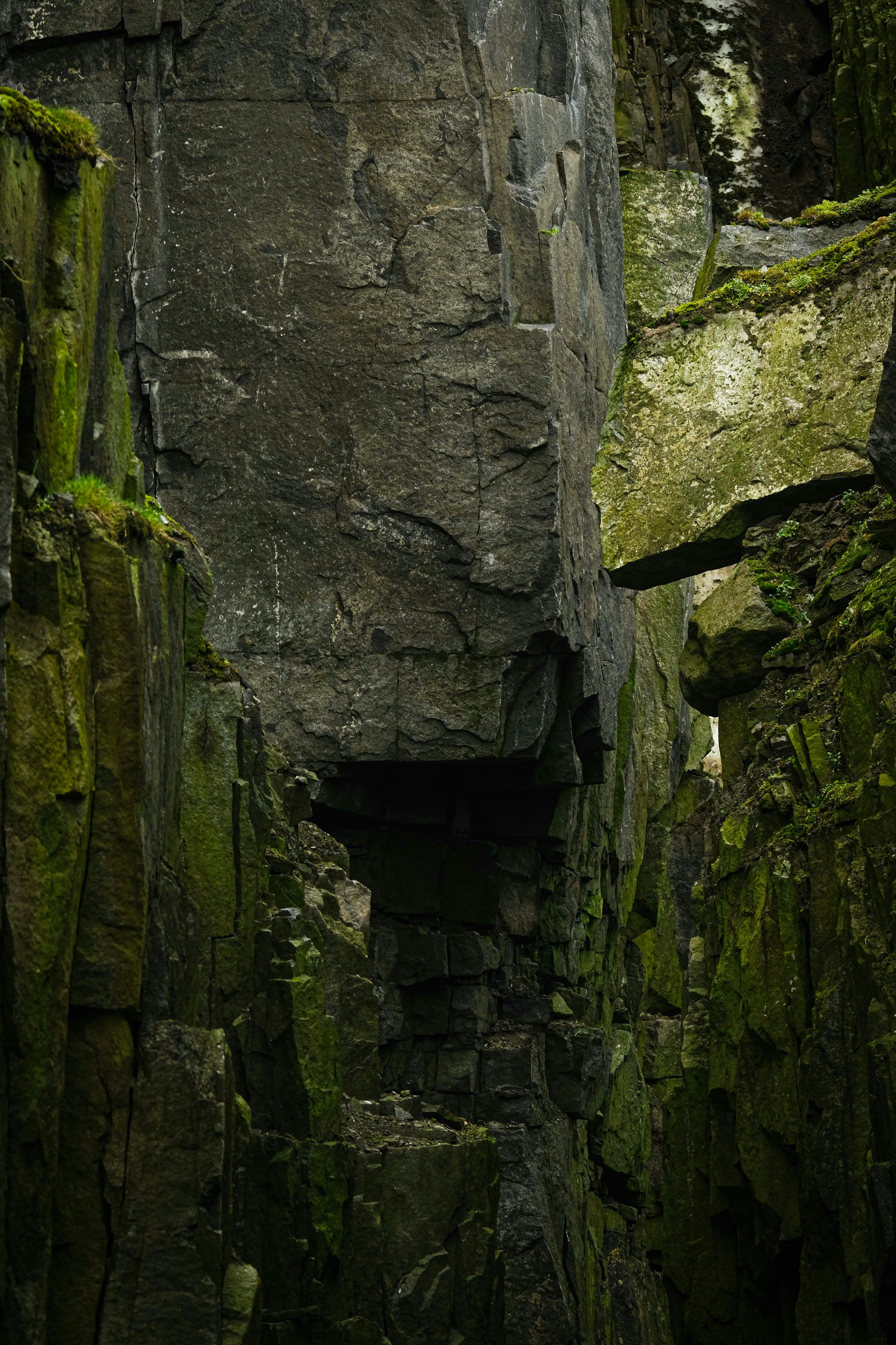 A man standing on a rock face in a forest photo – Free Rock Image on ...