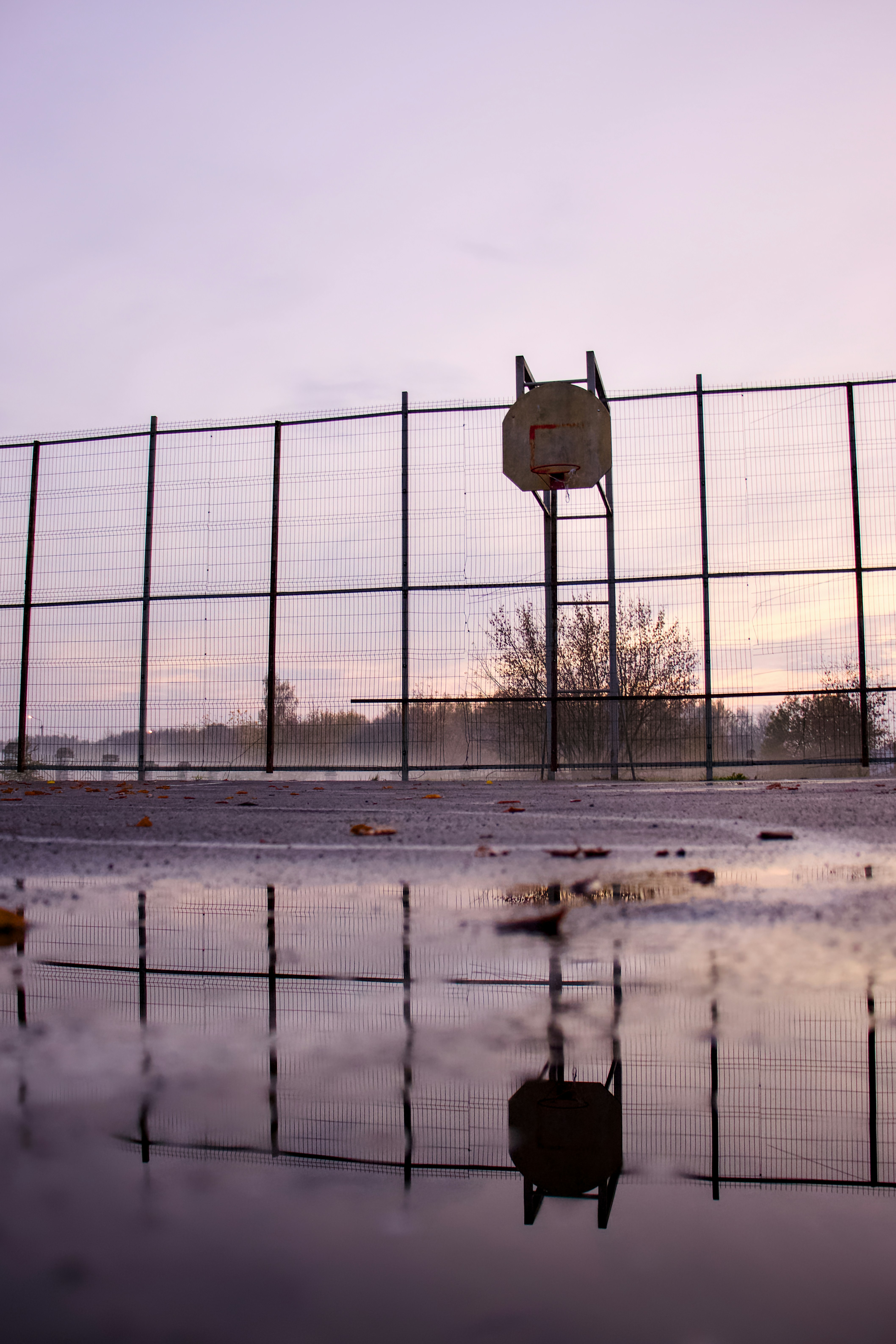A reflection of a street sign in a puddle of water photo – Free Hoop ...