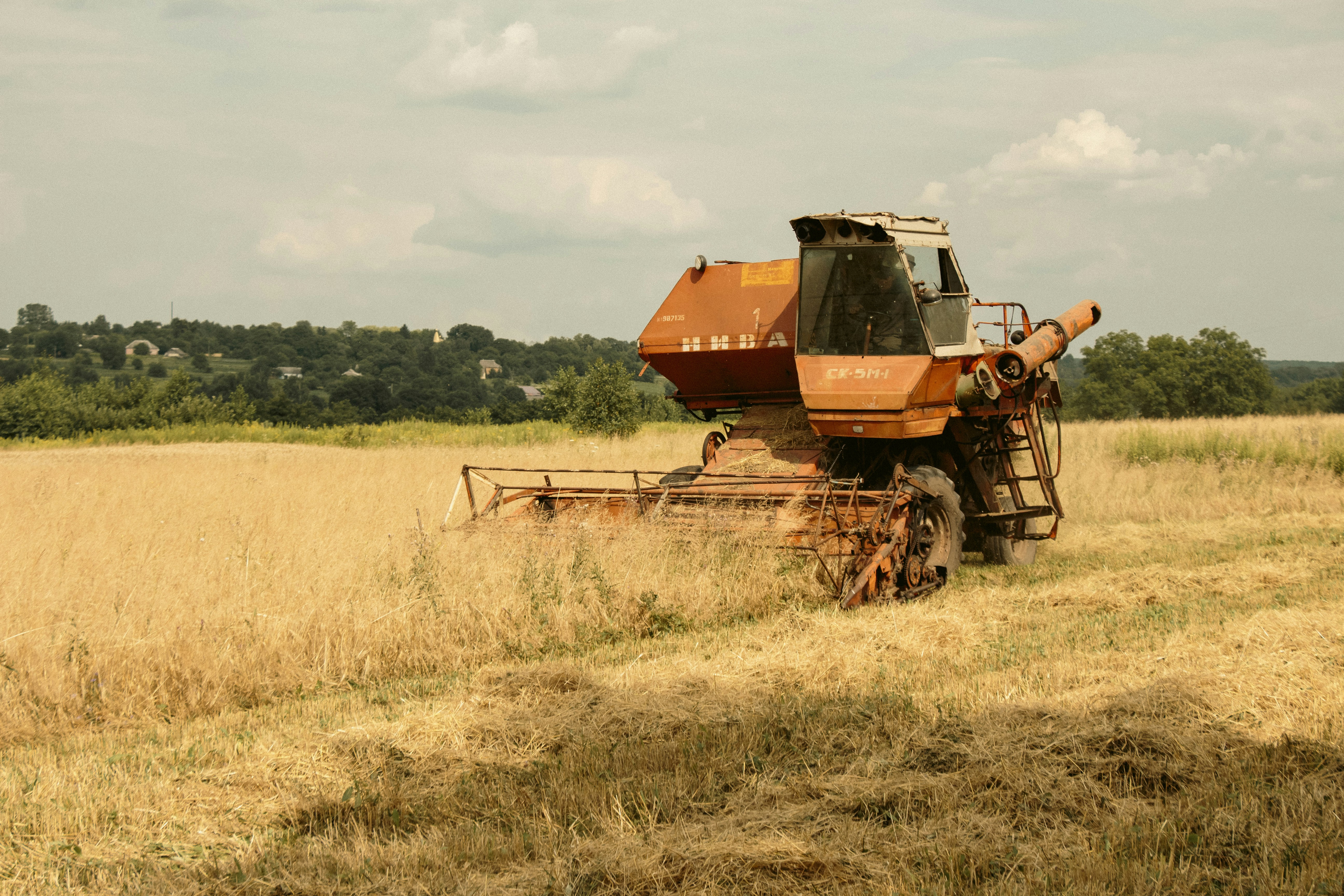 A tractor is driving through a field of wheat photo – Free Harvest ...