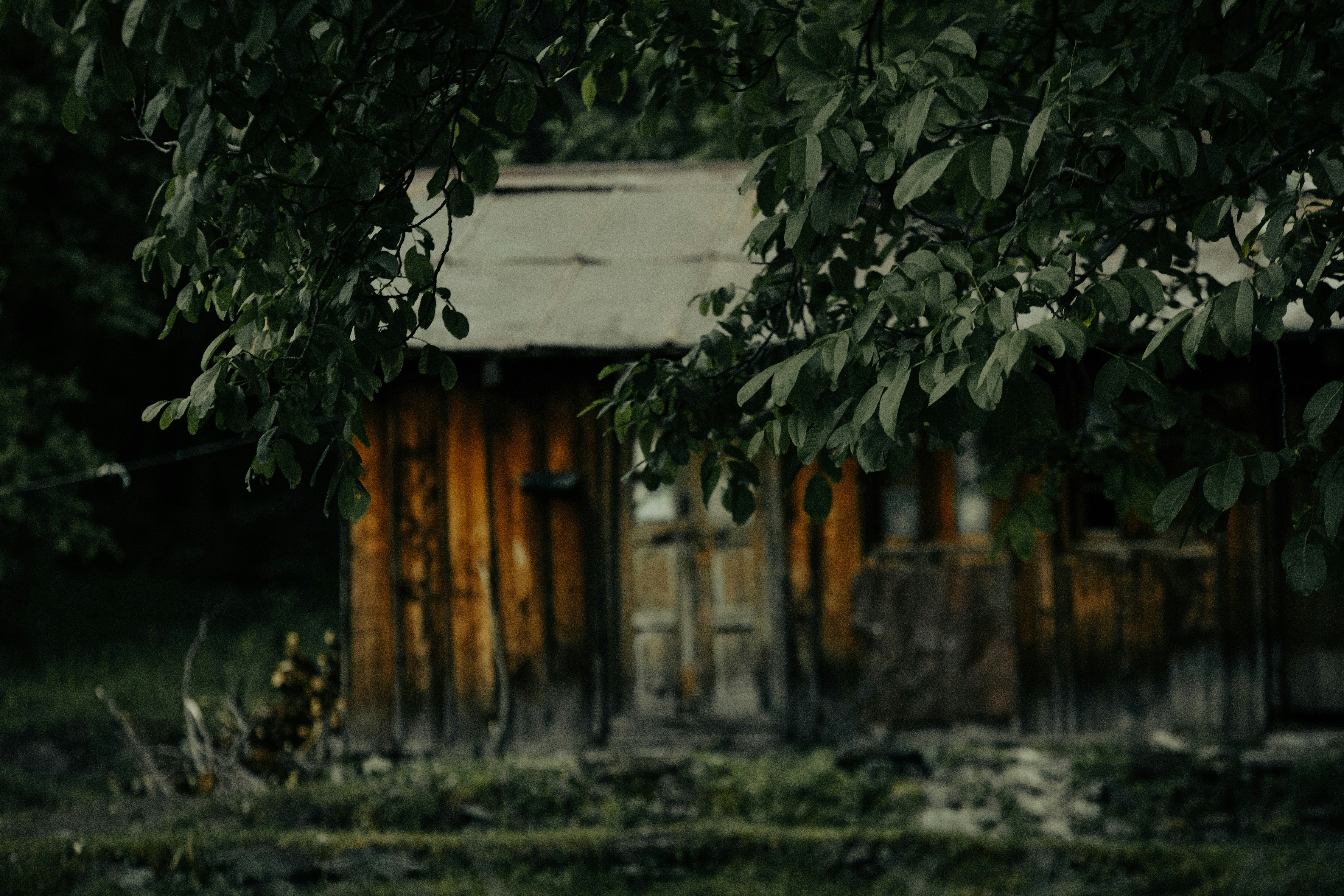 A small shack sitting in the middle of a forest photo – Free Sharan ...