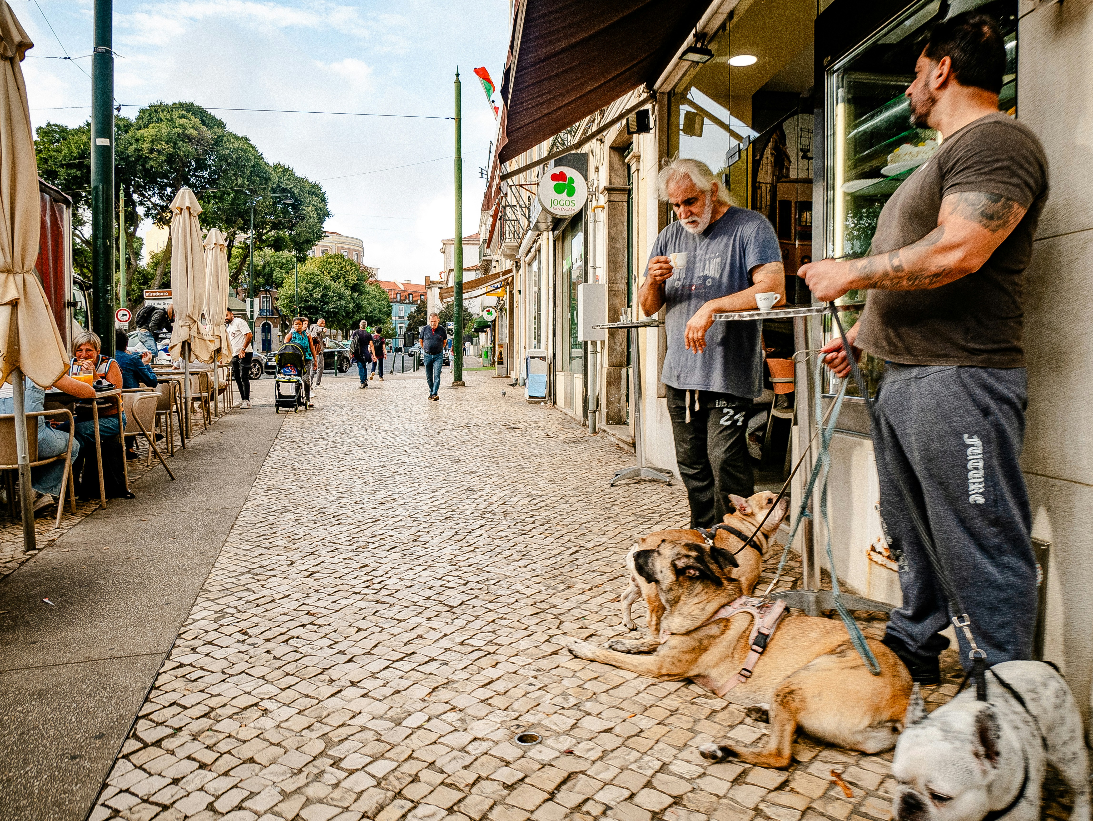 Cobblestone Café Pause: A Dog, Two Men, and a Quiet Street Moment