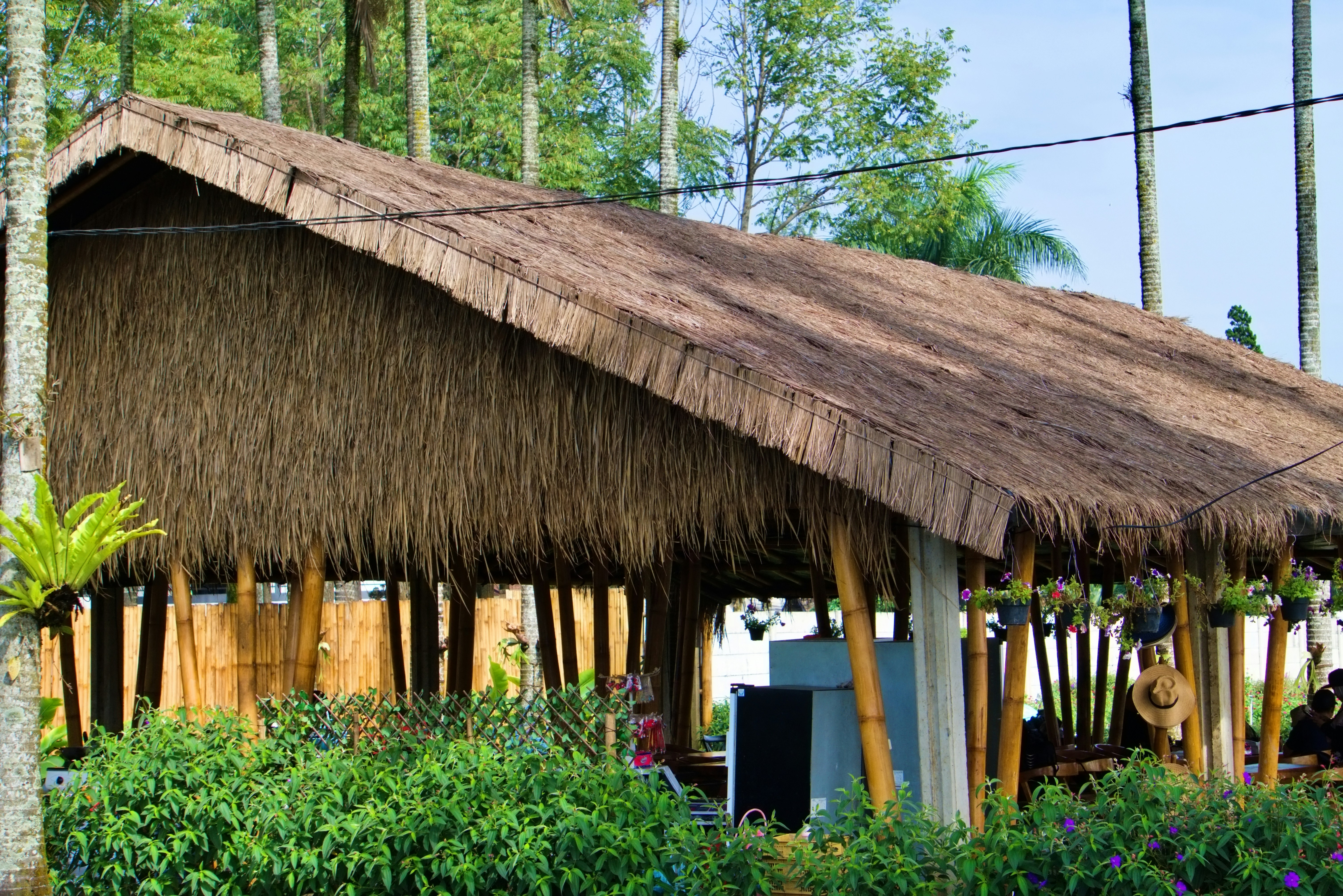 the roof of the house is made of dry leaf stalks