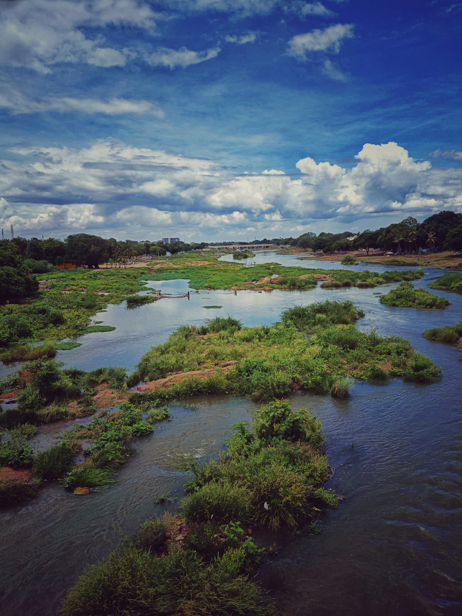 River threading through grassy islets with dense green vegetation and reflective pools beneath a deep blue sky studded with billowing clouds.