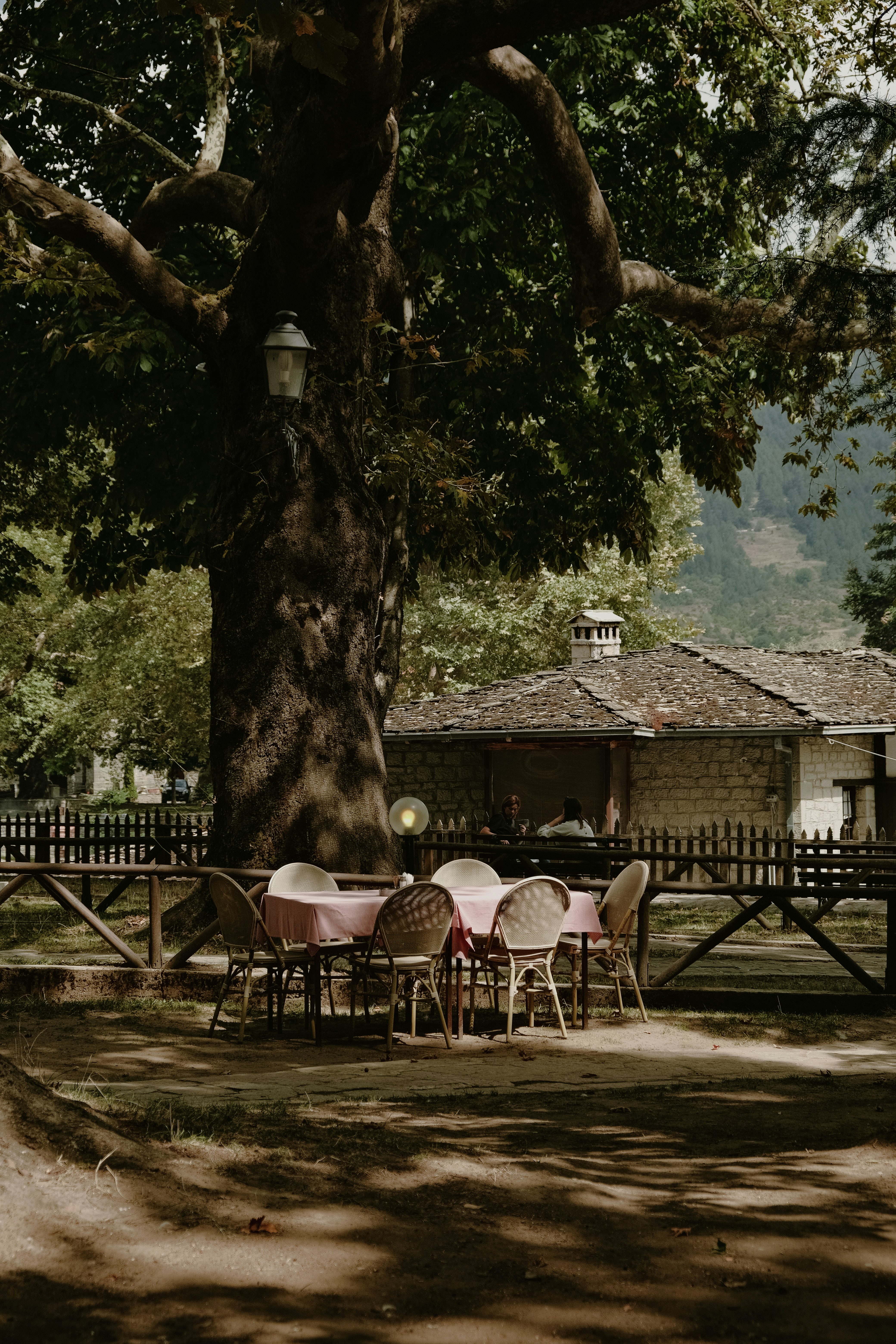 Photo by Christian Harb with Fujifilm X-T4