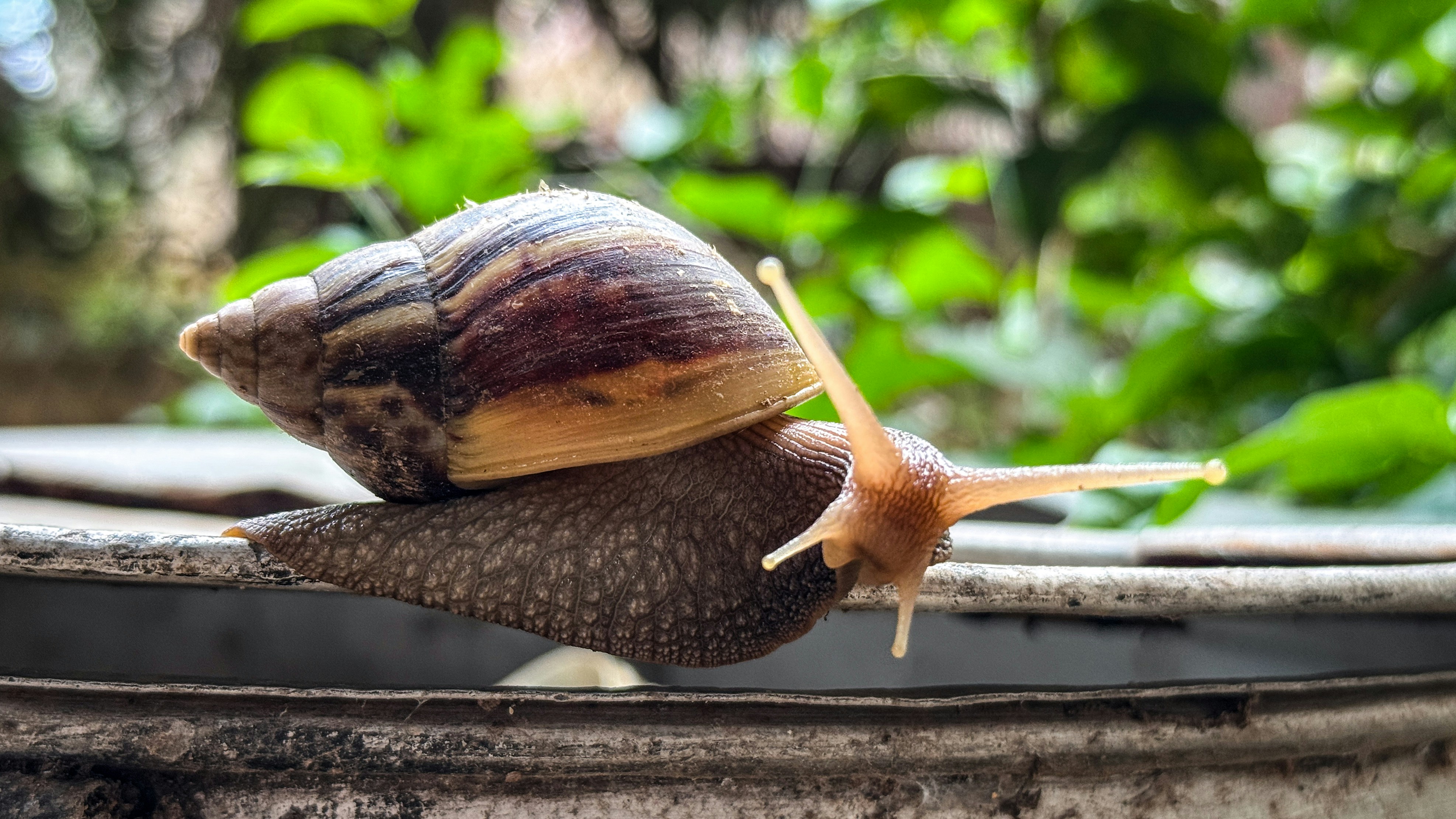 Slow Glide Across a Weathered Terrace