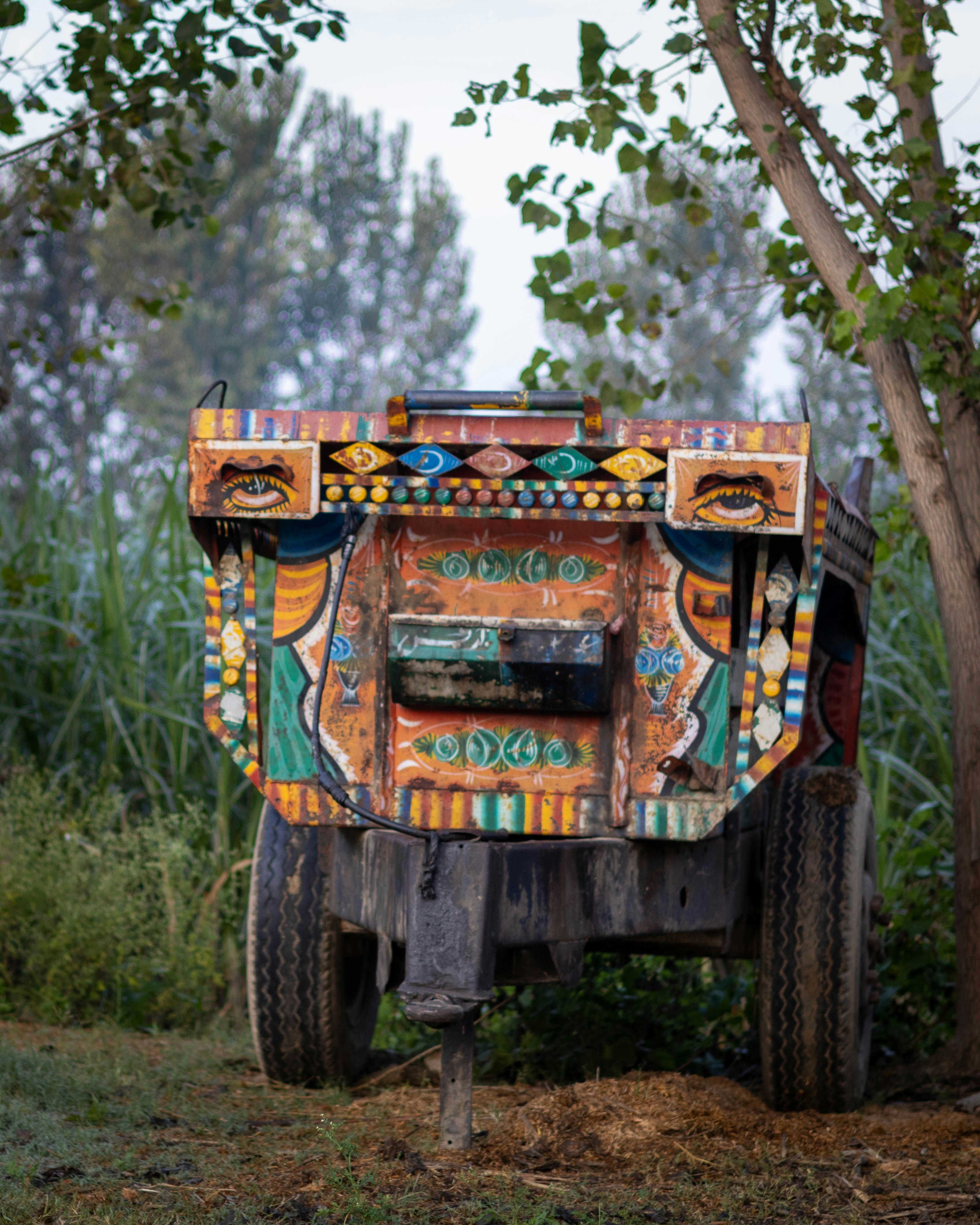 Frontispiece of Color: The Ornately Painted Rural Truck in a Verdant Clearing