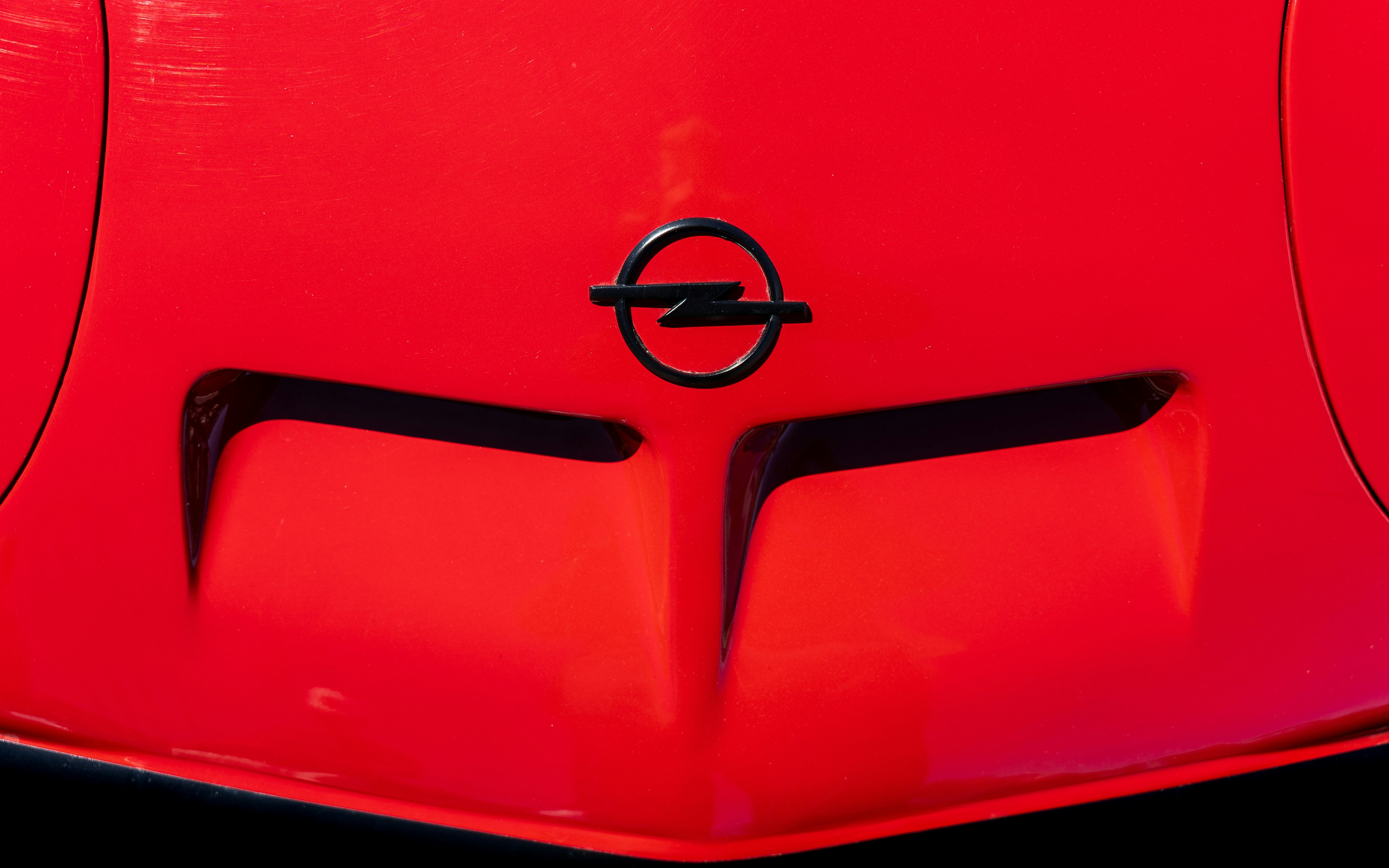 The Bold Emblem of Performance