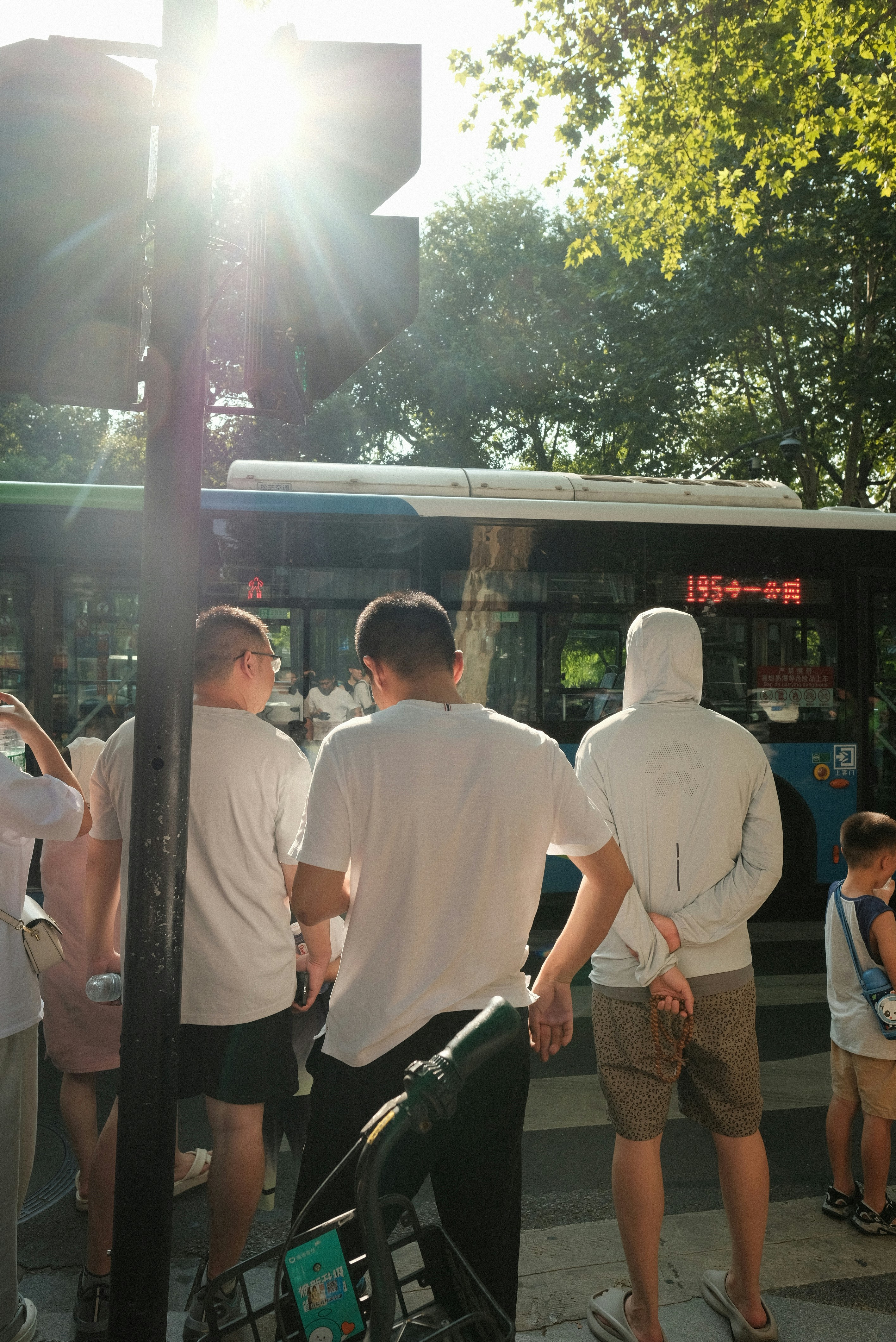Bus Stop Reverie Under a City Sunflare