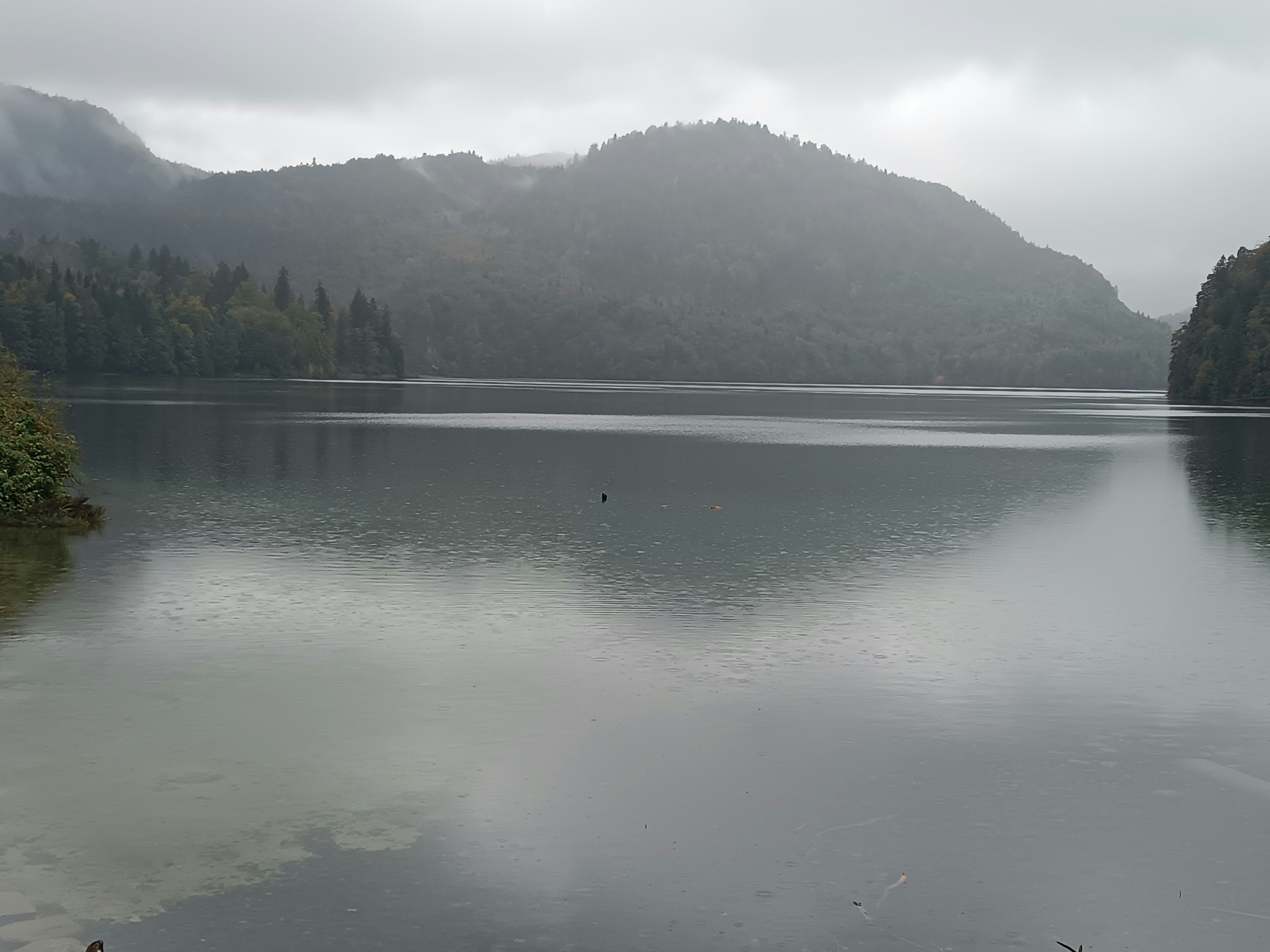 Photograph of a misty lake framed by forested hills under a gray overcast sky, with a glassy, reflective surface. A solitary point on the water provides a quiet focal point.
