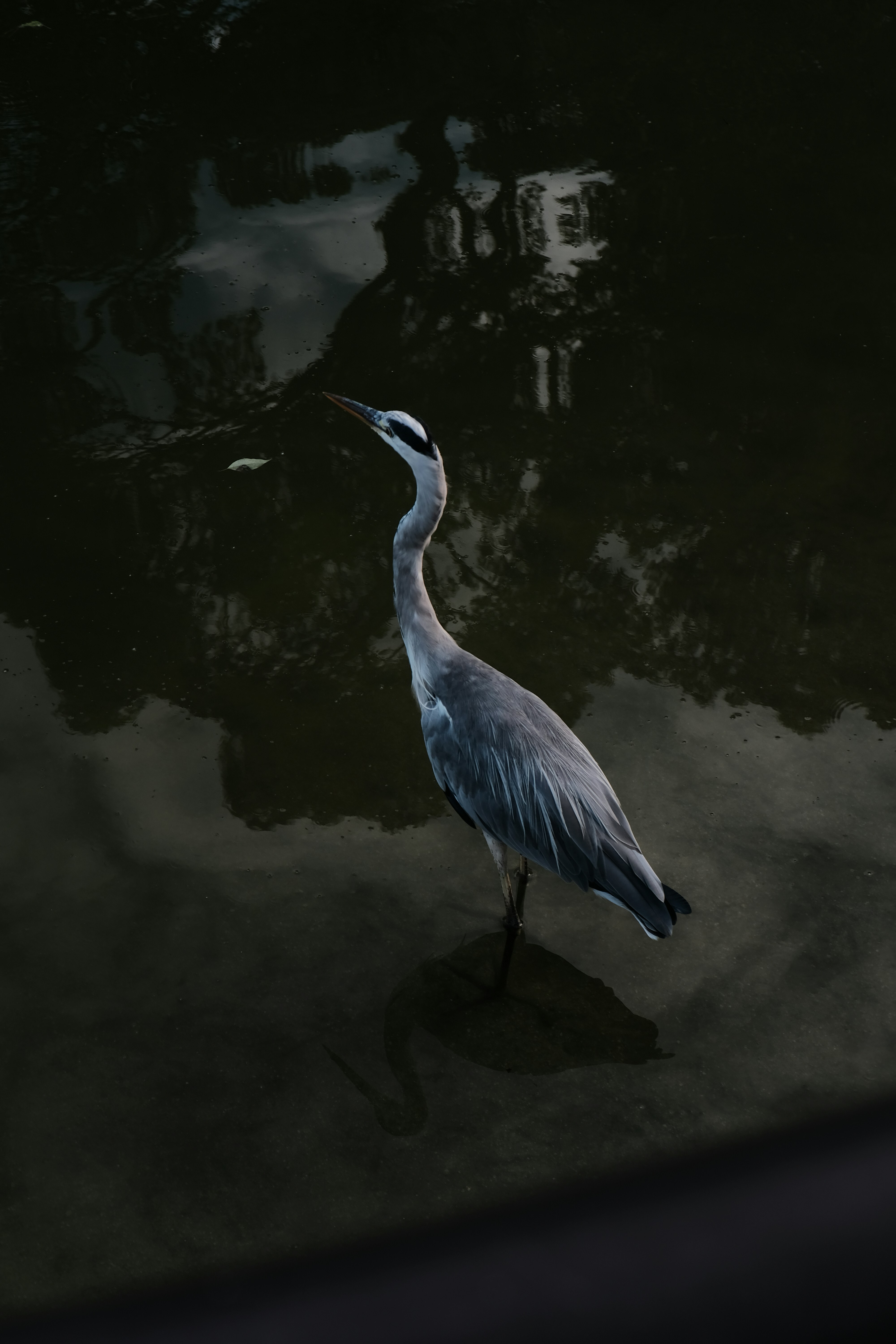 Photo by MAK with Fujifilm X-T20