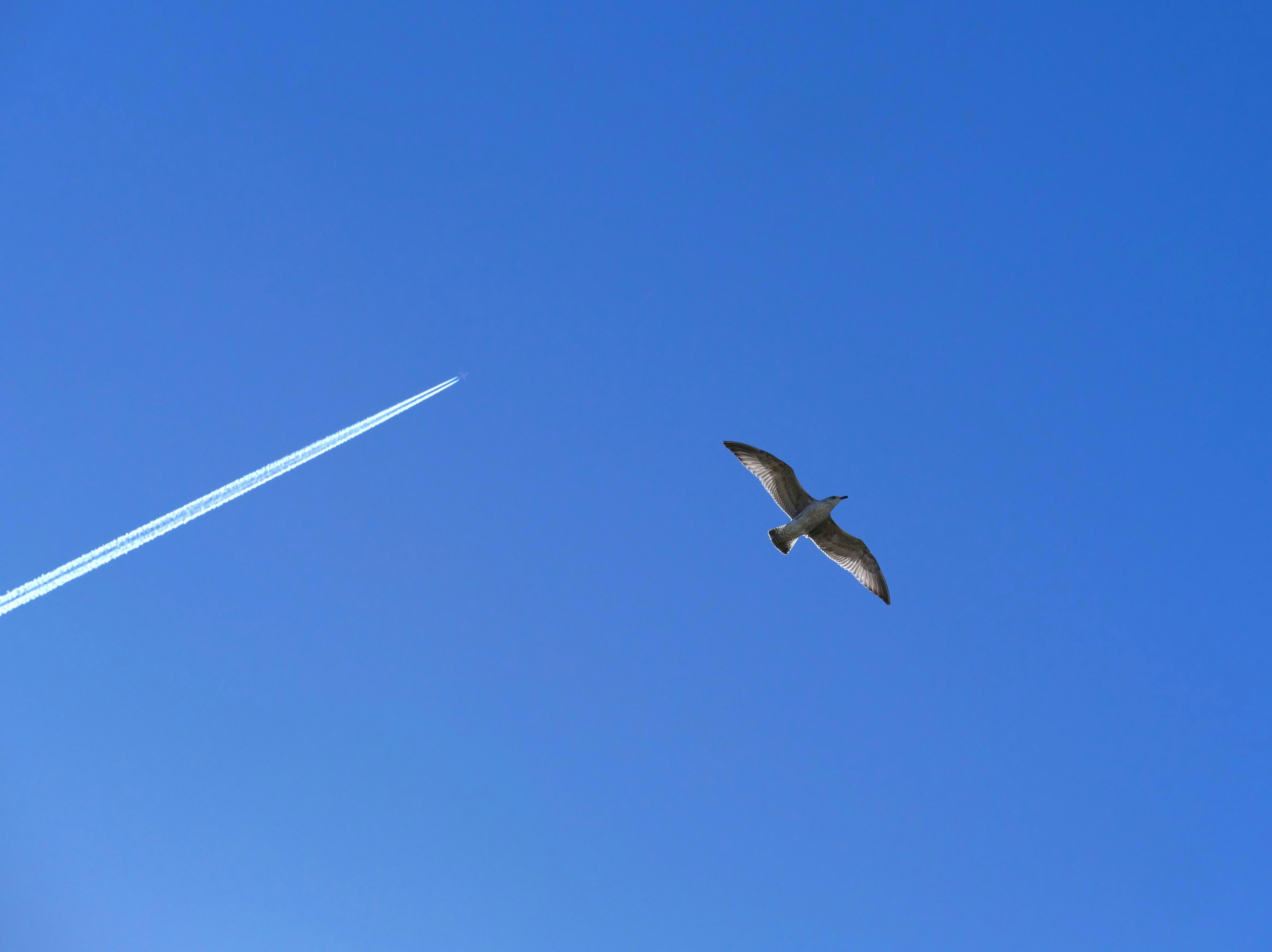 Photo by Rafael Garcin with Panasonic Lumix G9