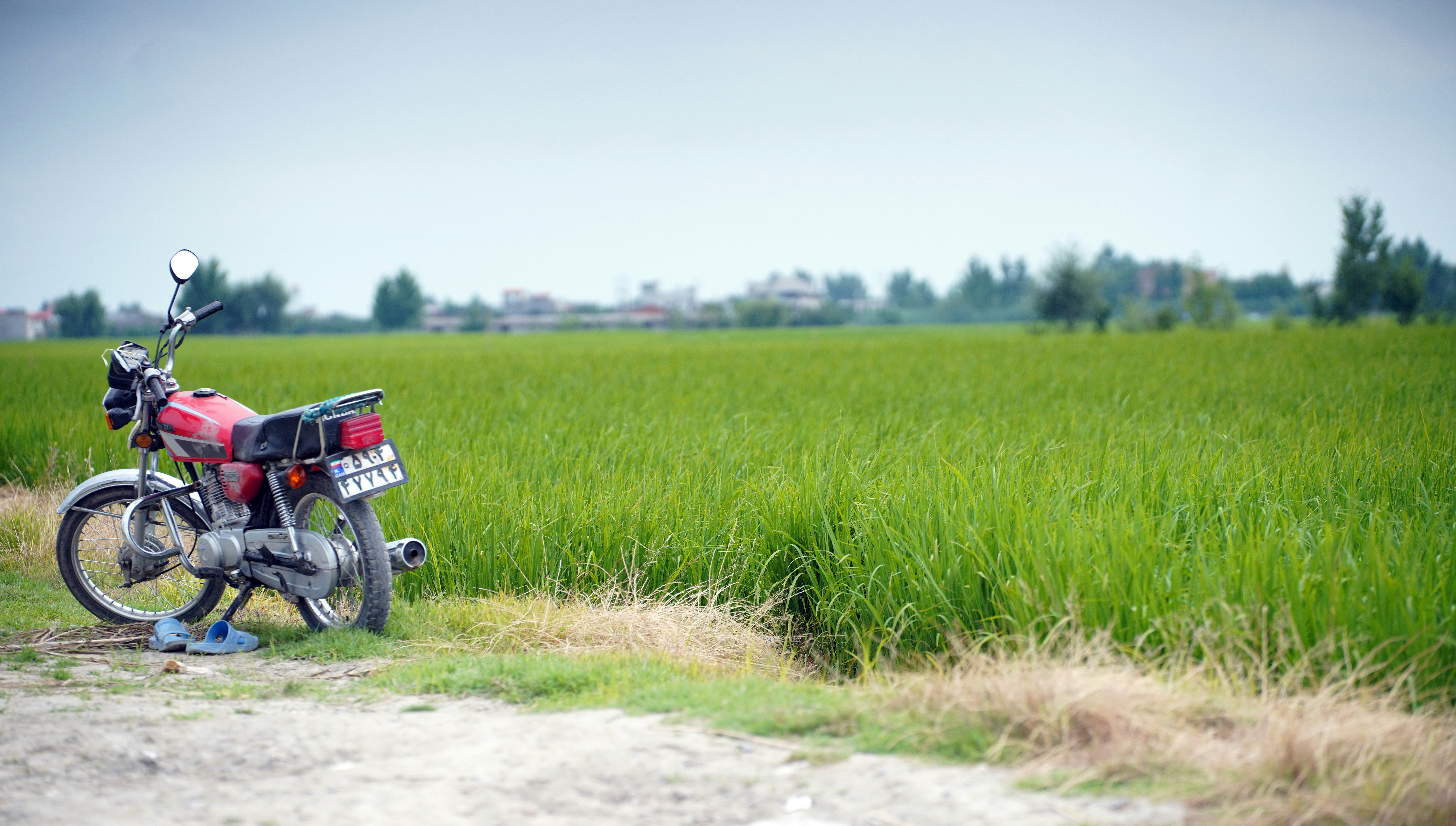 Red Moto on the Edge of an Emerald Sea