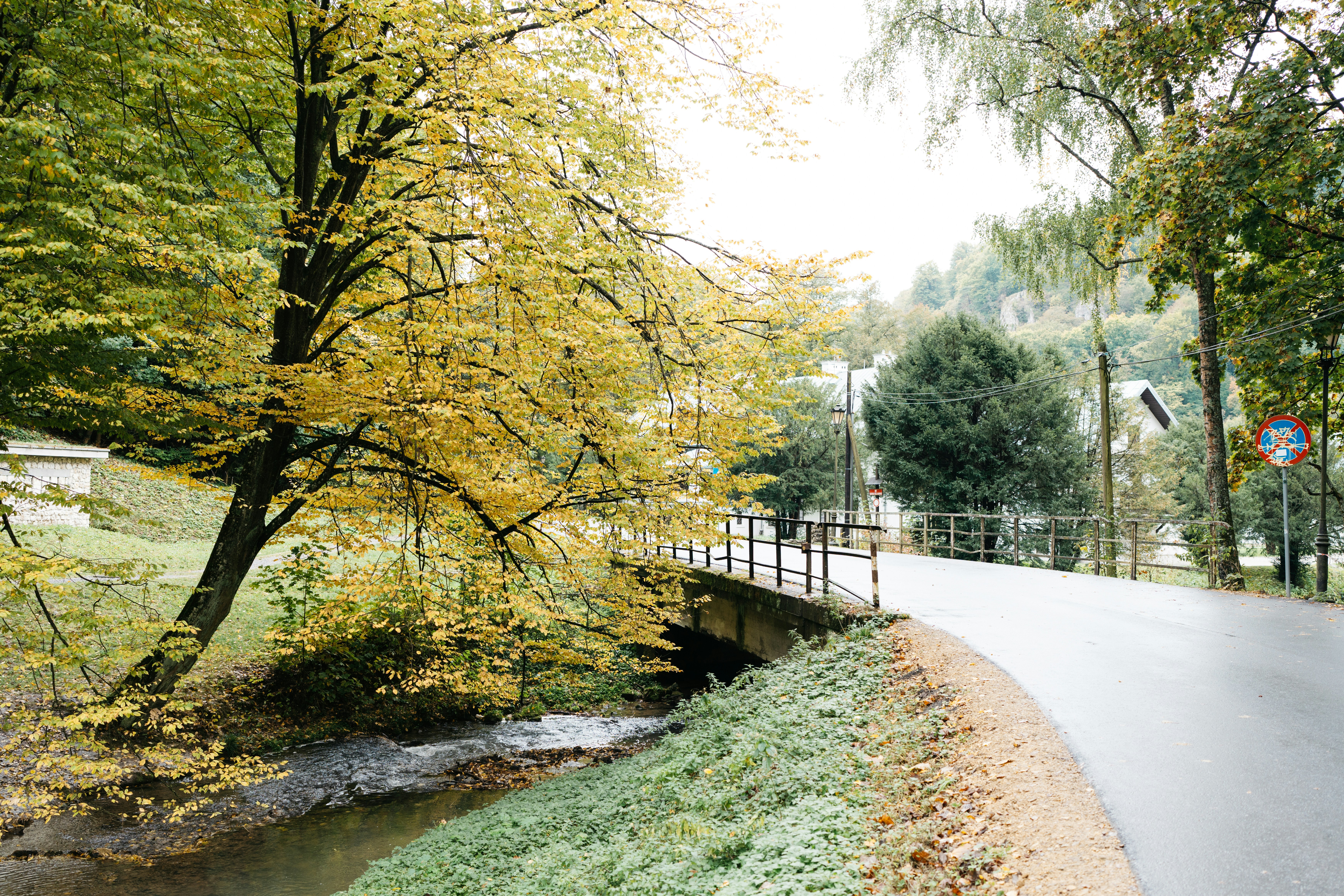 Autumn Bridge Over a Quiet Village Creek