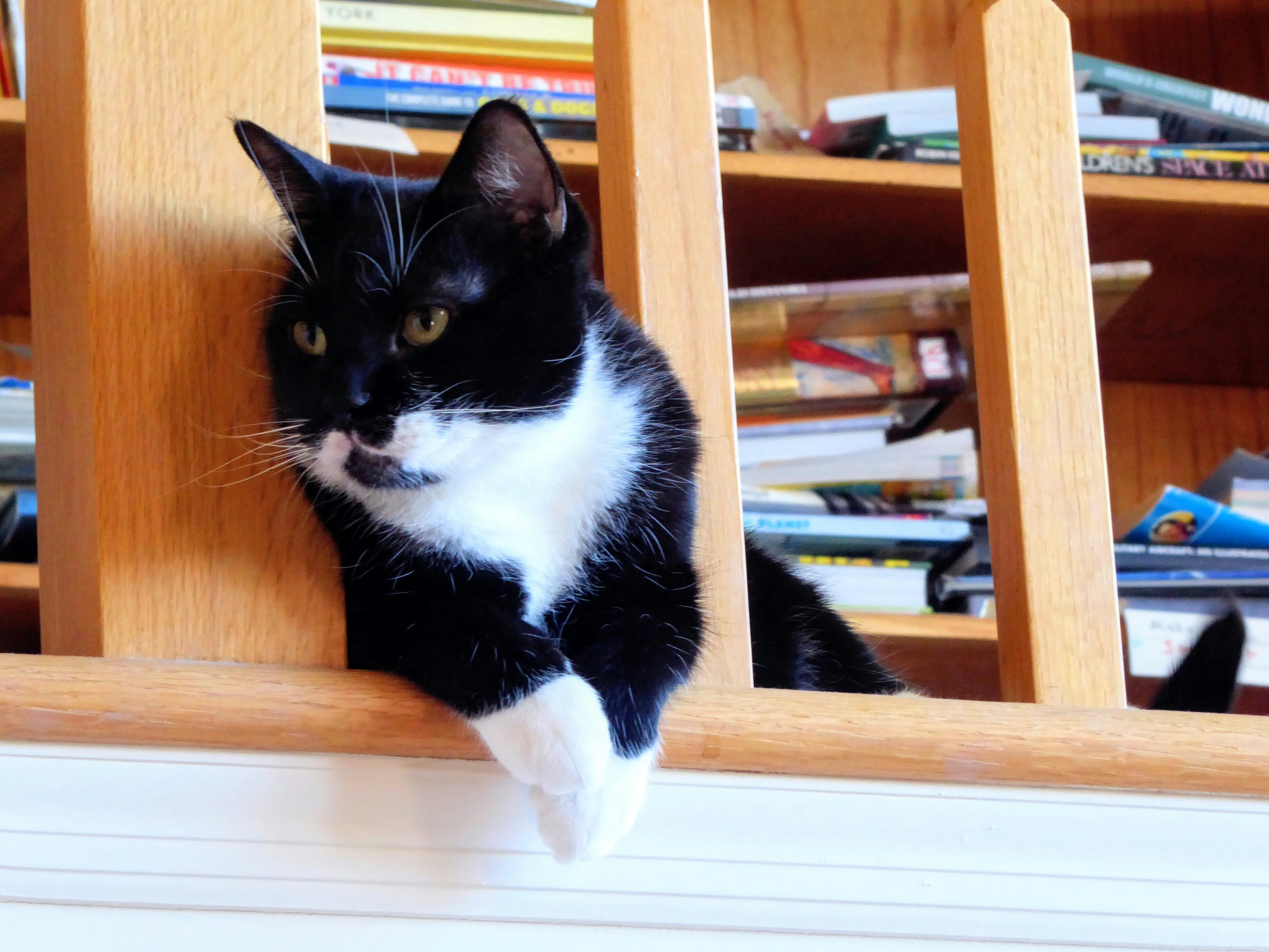 Photo by Karin Kim with Panasonic Lumix ZS50