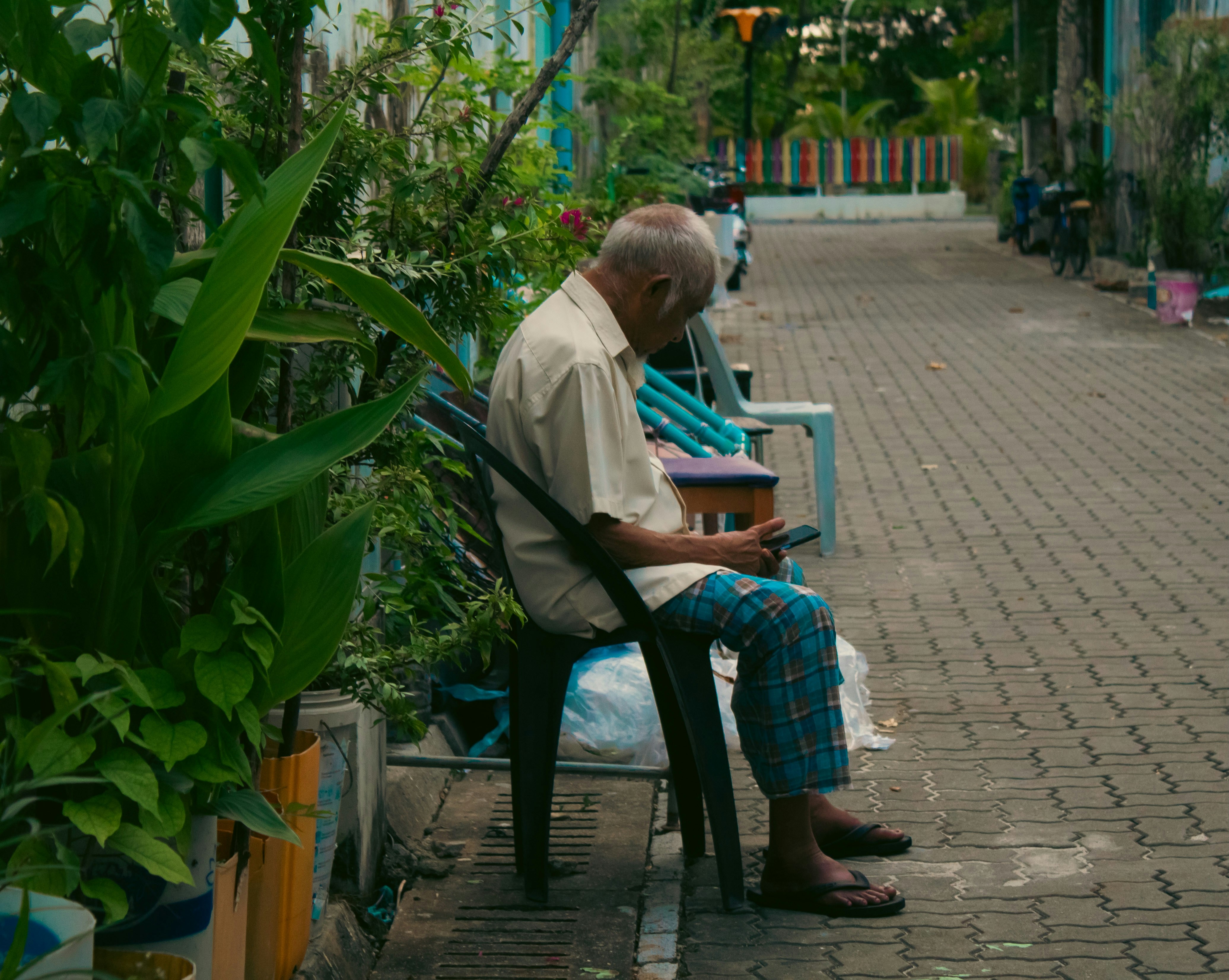 Benchside Solitude: An Elder's Quiet Moment Amid Urban Green