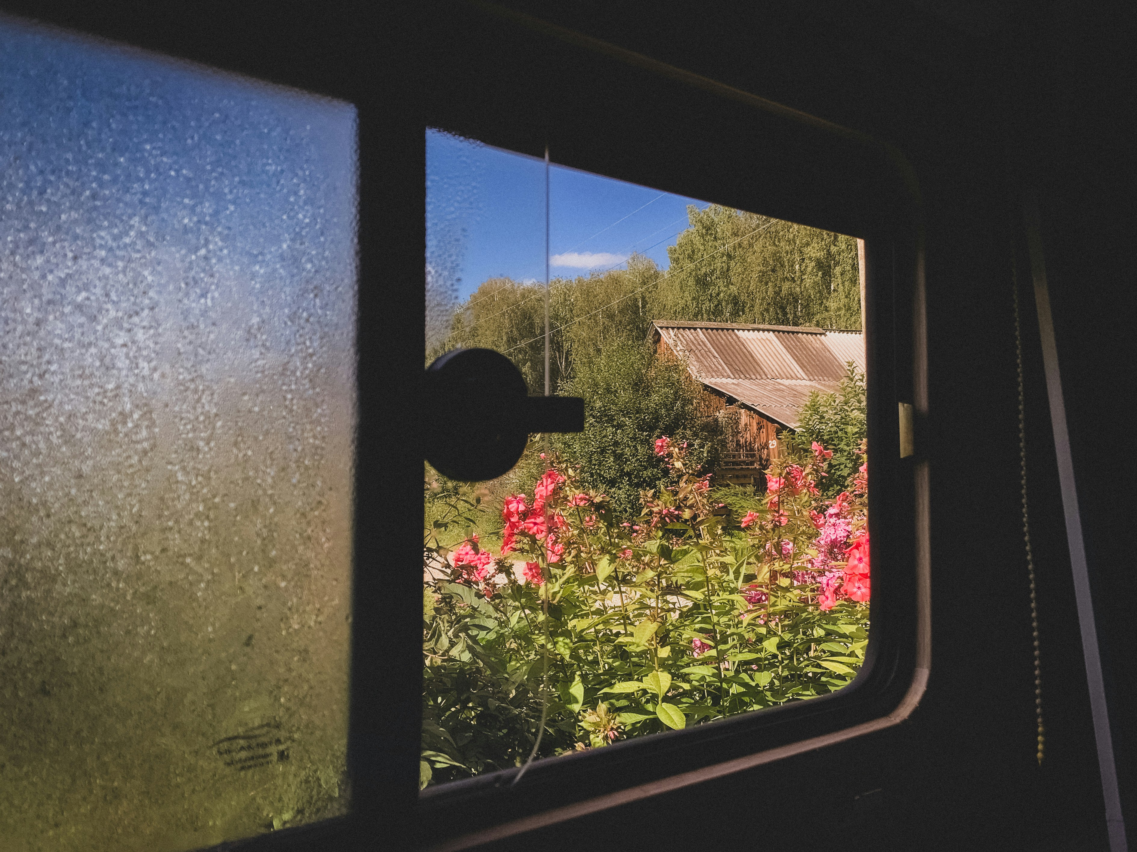 Pink Garden Framed by a Fogged Window: A Quiet Morning View