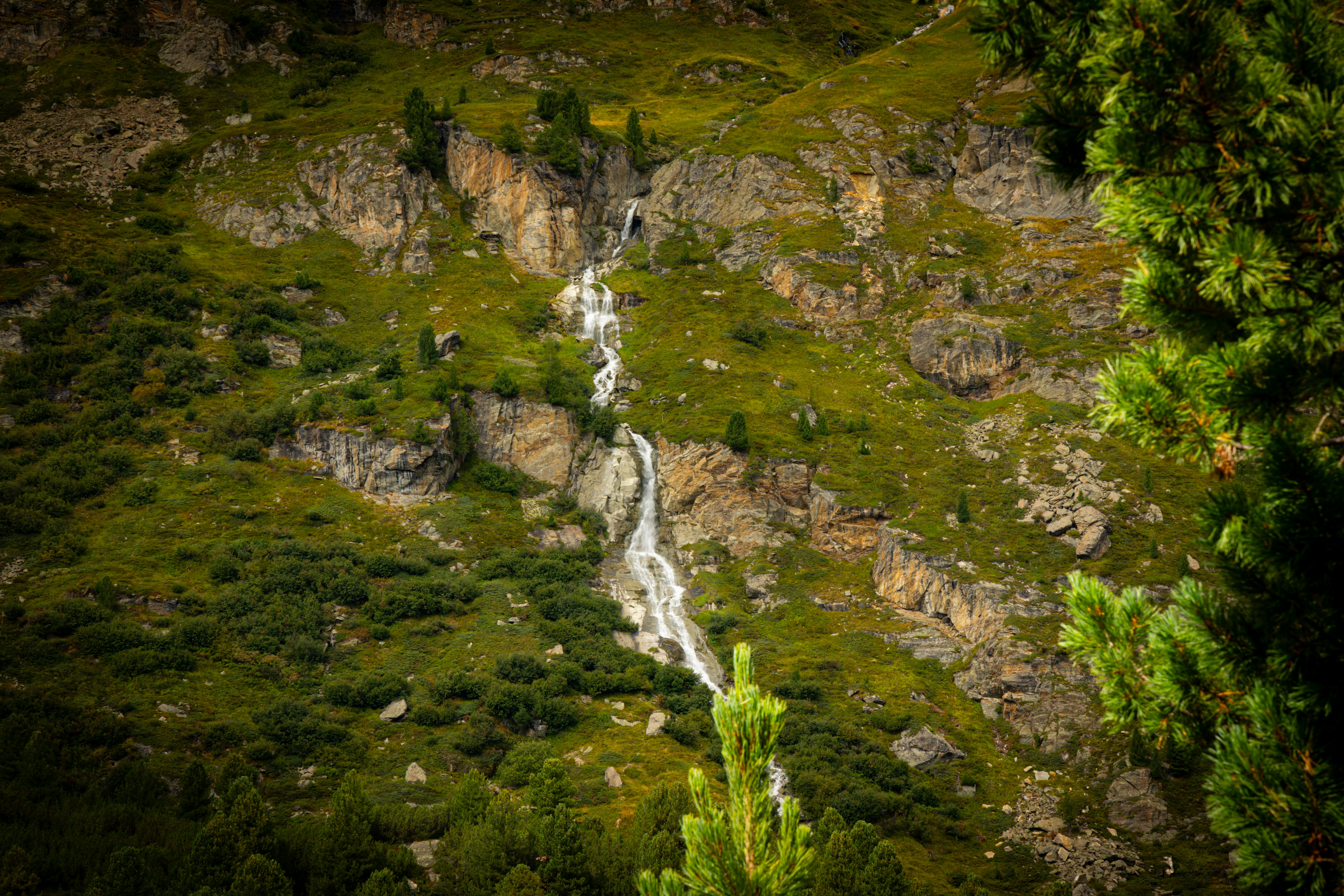 Aqua Ribbon Wends Down a Mossy Alpine Slope