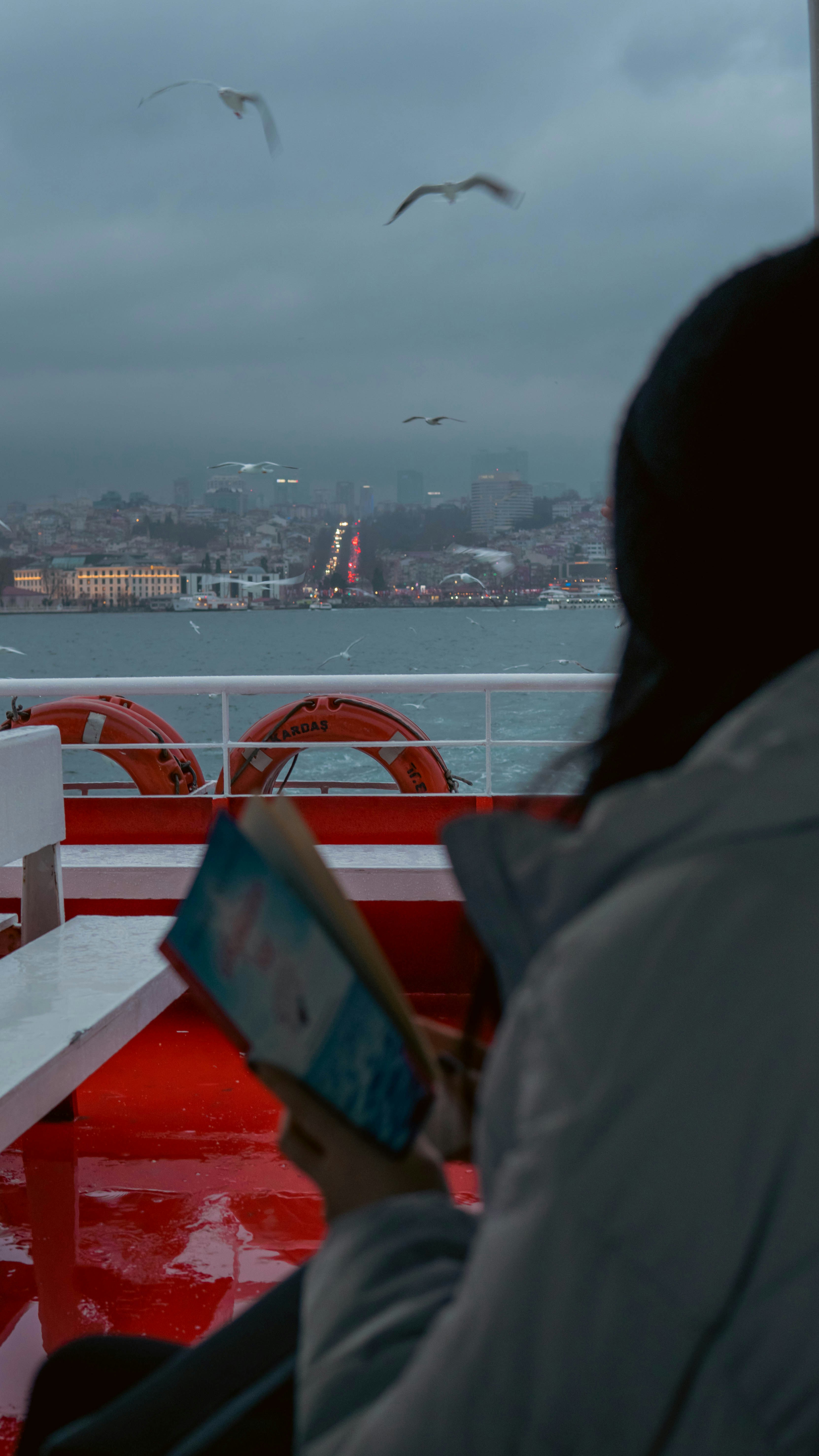 Tablet in Hand, City on the Horizon: A Red-Deck Ferry Moment