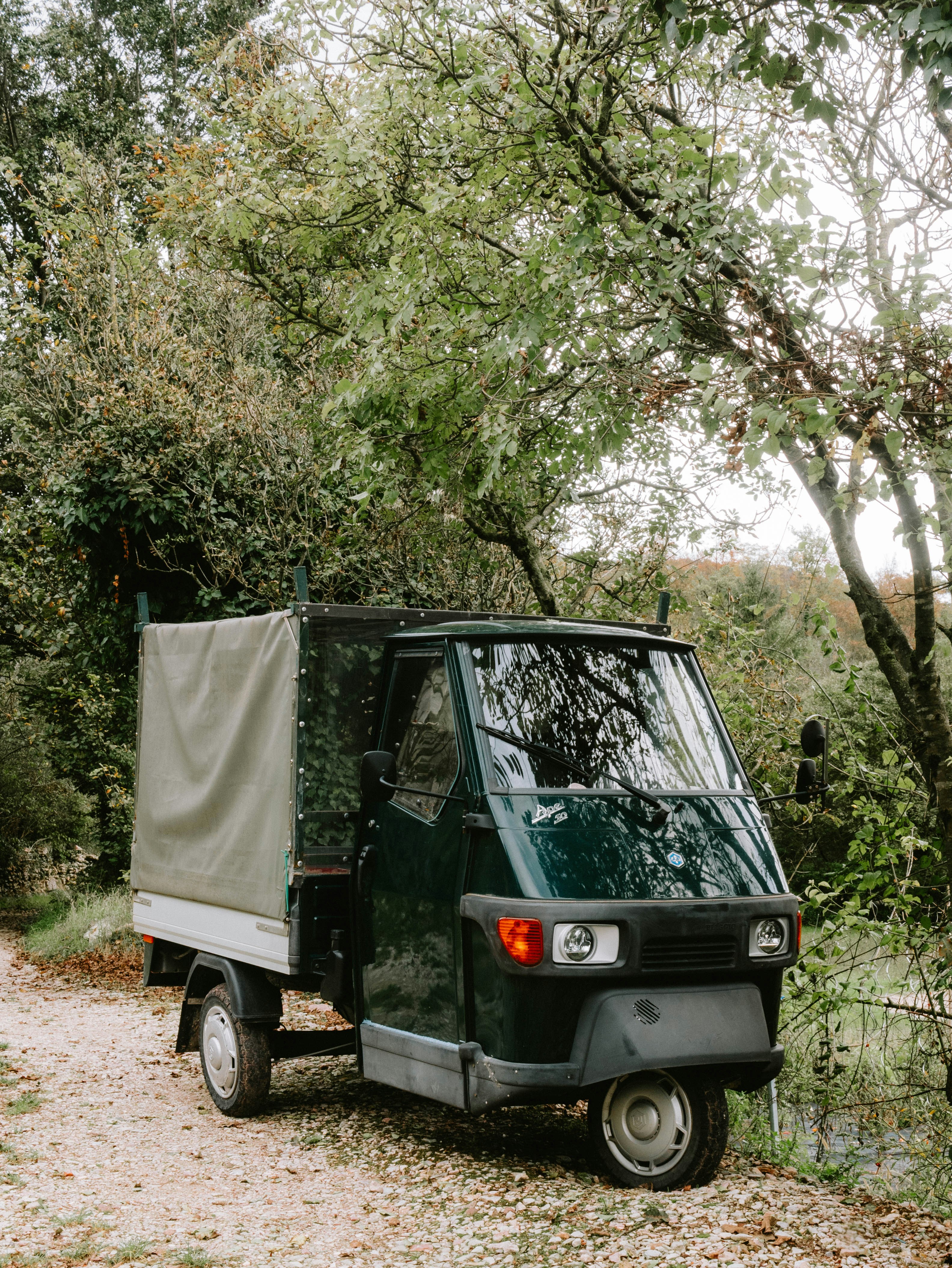 Green Orchard Hauler in Dappled Light