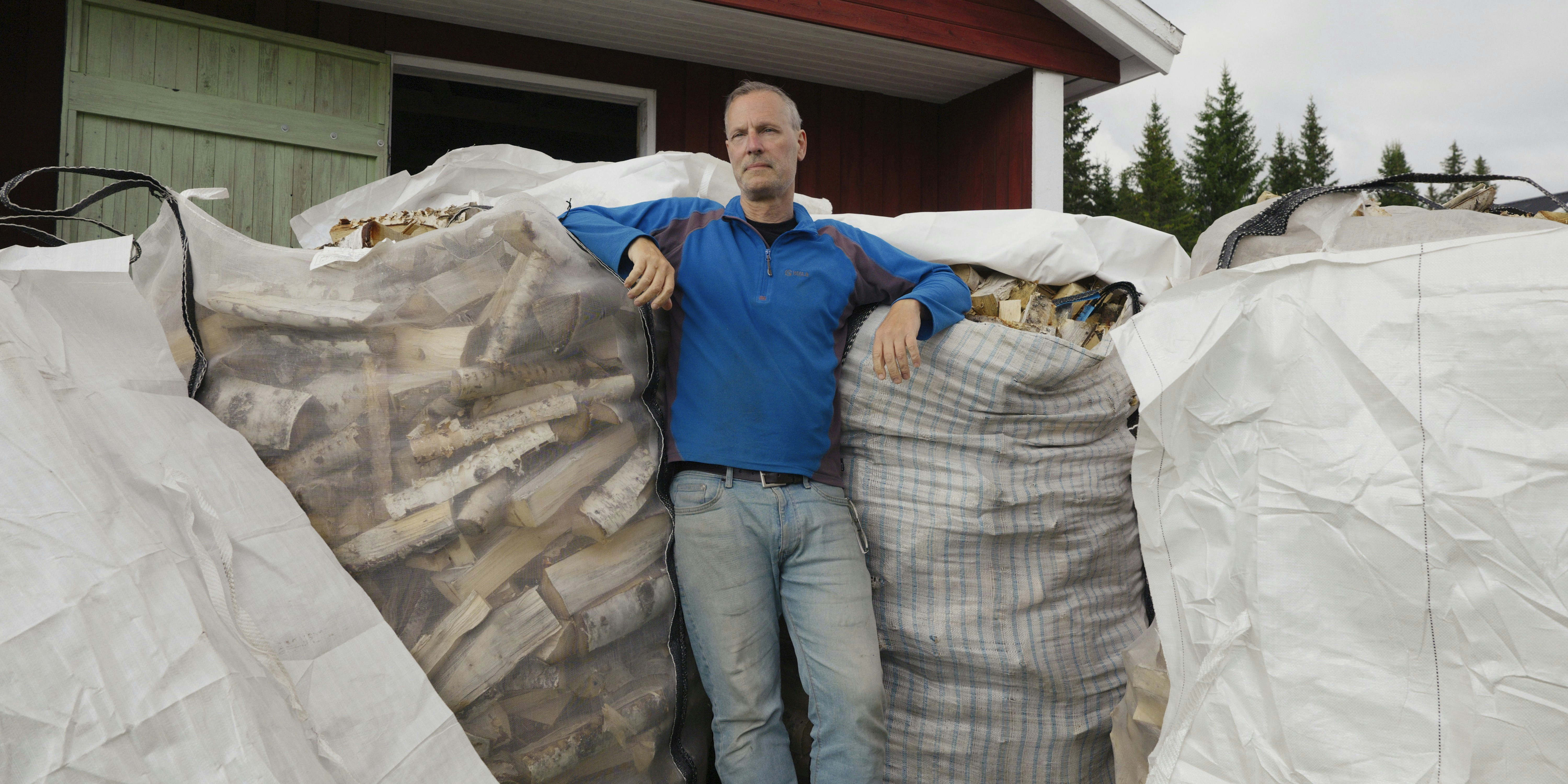 Between Timber Giants: A Quiet Stance at the Log Yard