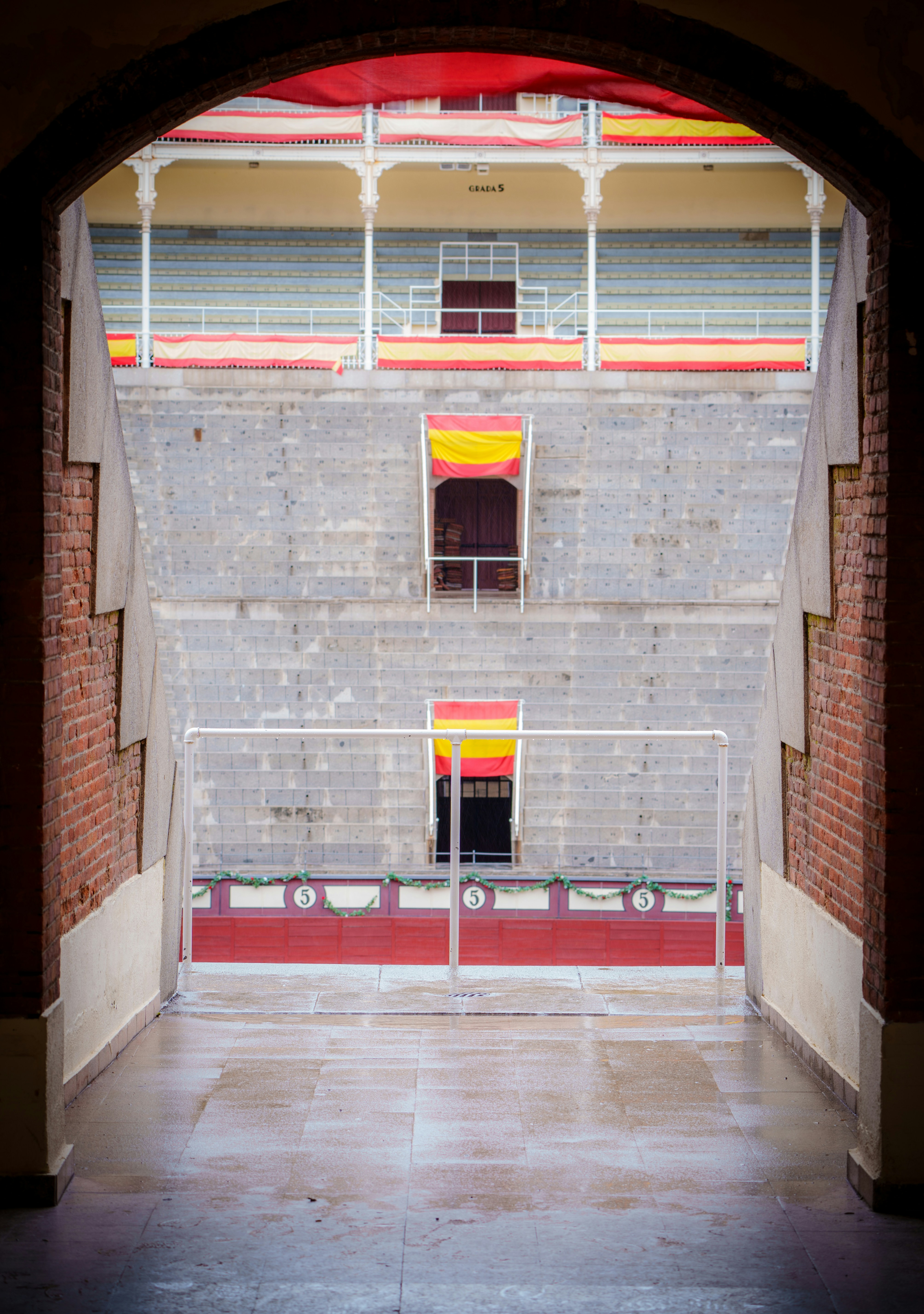 Photo by Paul Kenny McGrath with Sony Alpha 7 IV