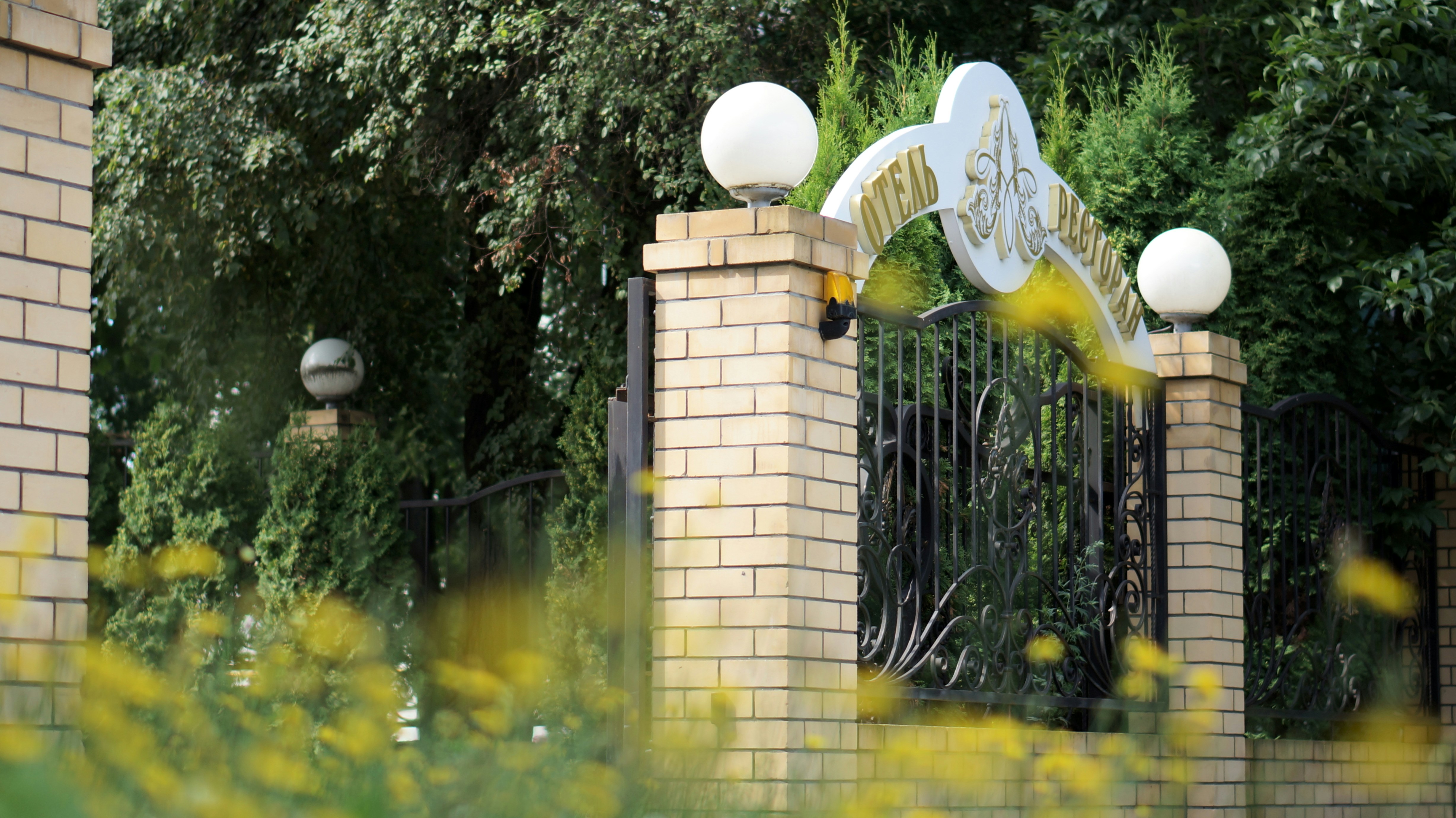 Sunlit Iron Gate Framed by Golden Spring Bloom