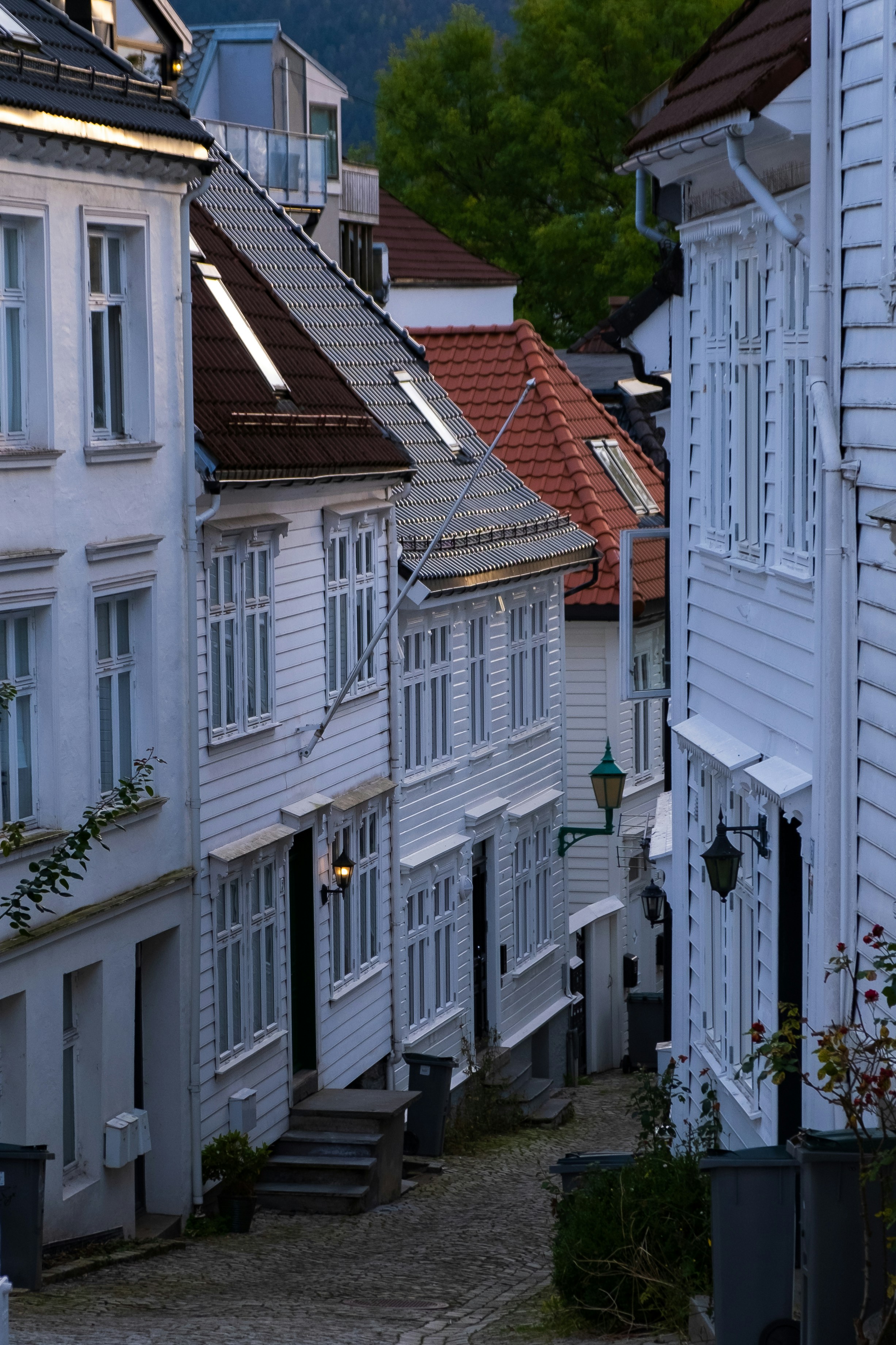 A row of white houses on a cobblestone street