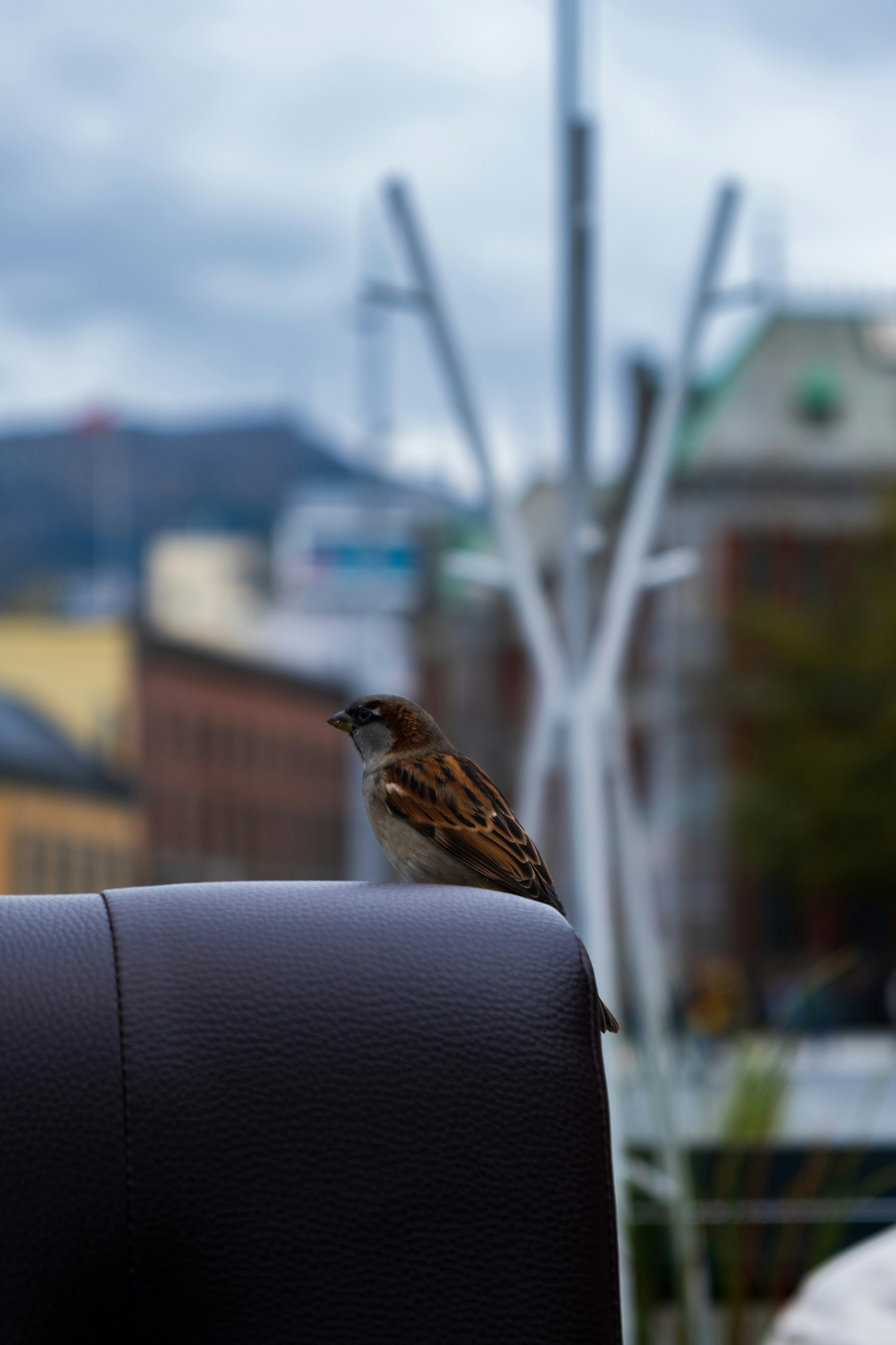 Photo by Husam Harrasi with Fujifilm X-T30 II