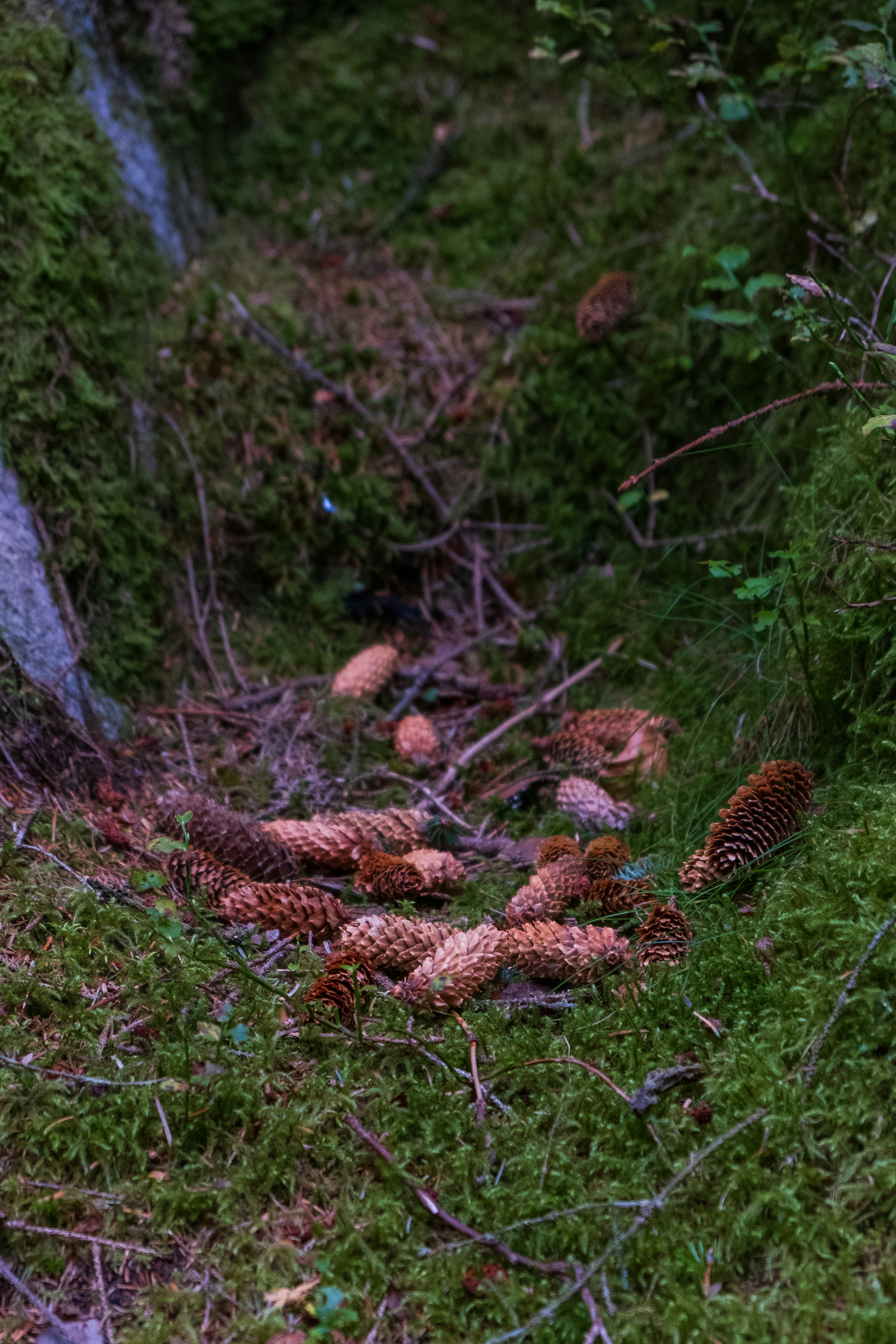 Photo by Husam Harrasi with Fujifilm X-T30 II