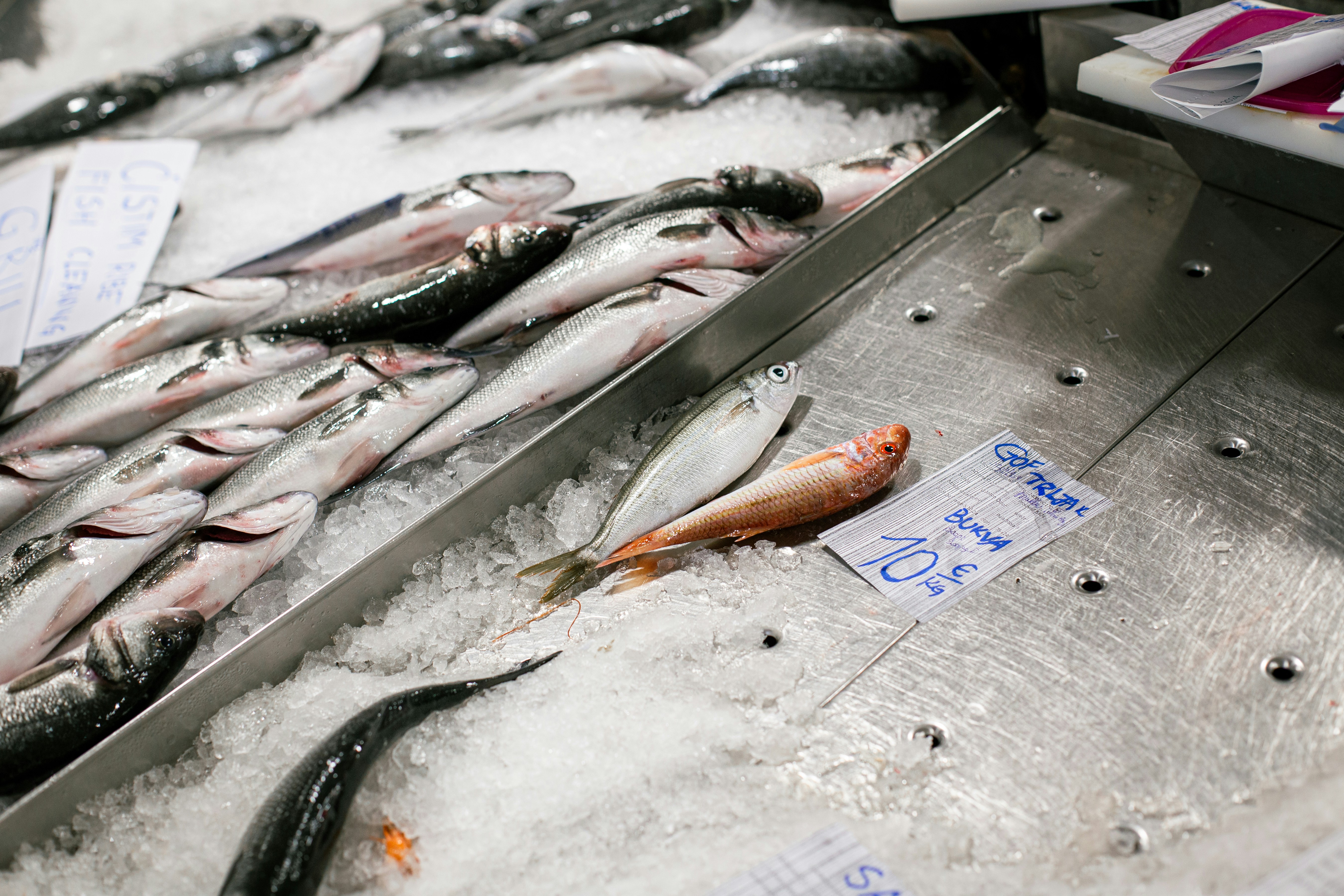 A bunch of fish that are on a table photo – Free Pula Image on Unsplash