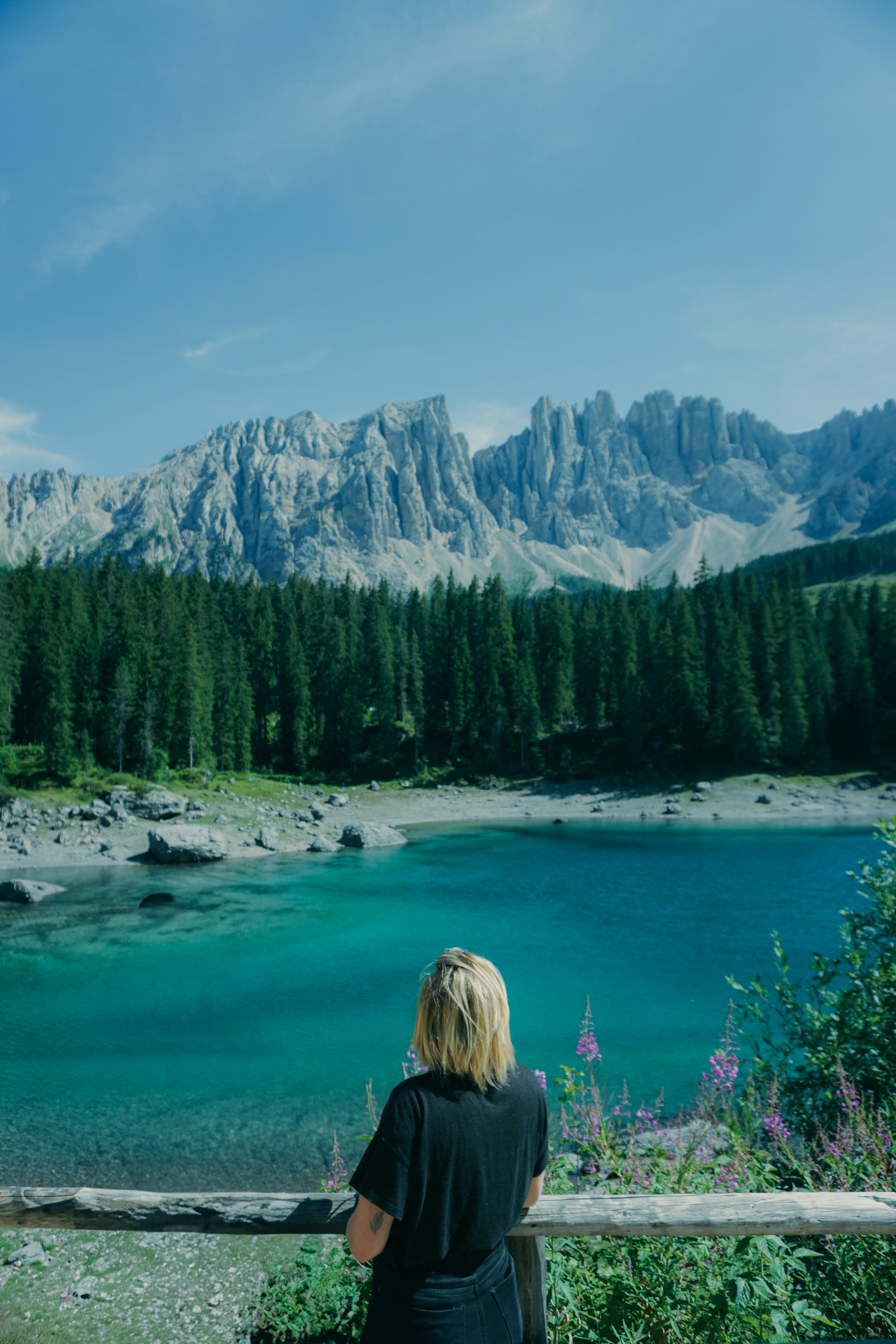 Lone Observer by Turquoise Alpine Waters