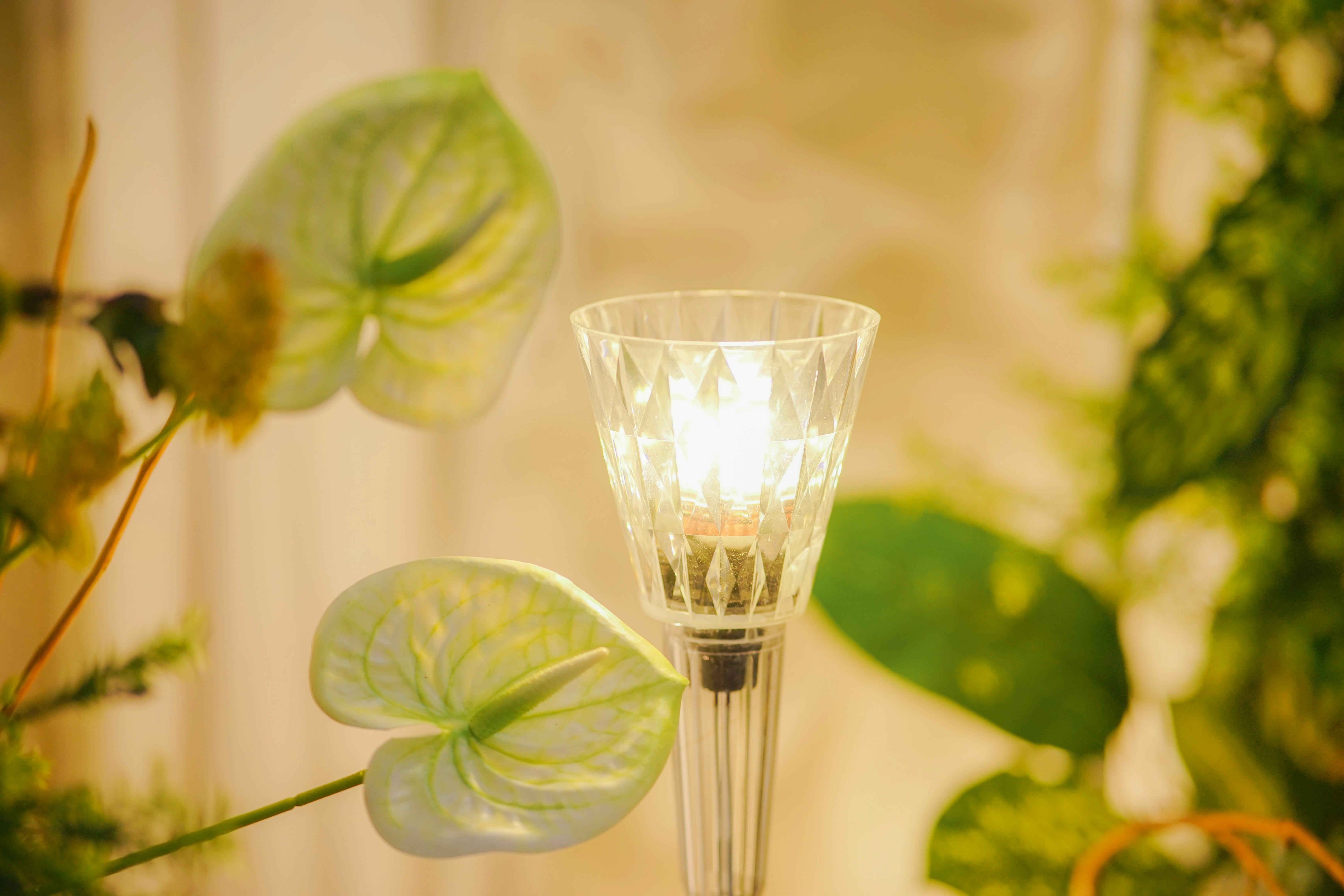 Lantern glow among drifting greens