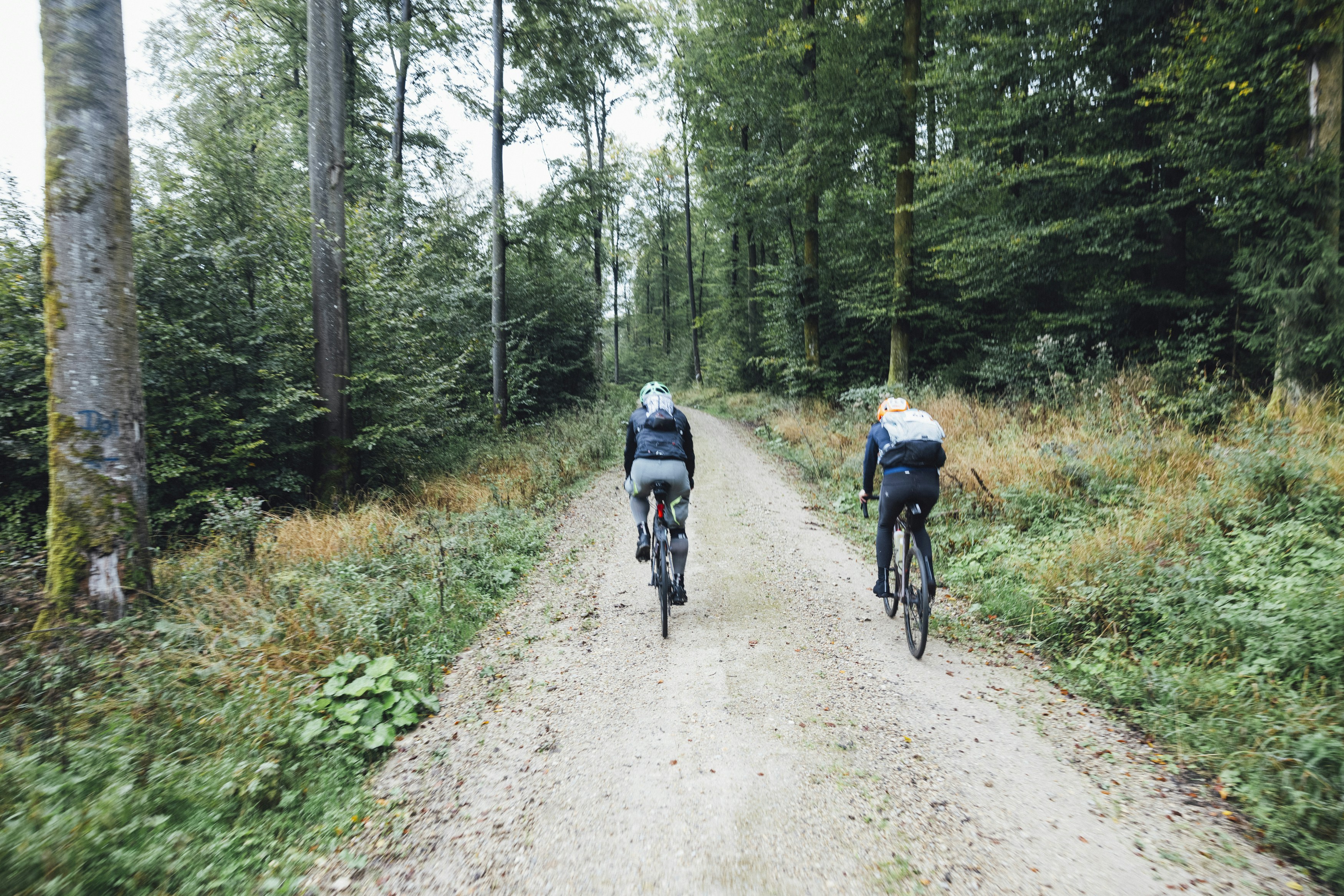 Two cyclists traverse a wooded gravel path surrounded by vibrant autumn foliage.