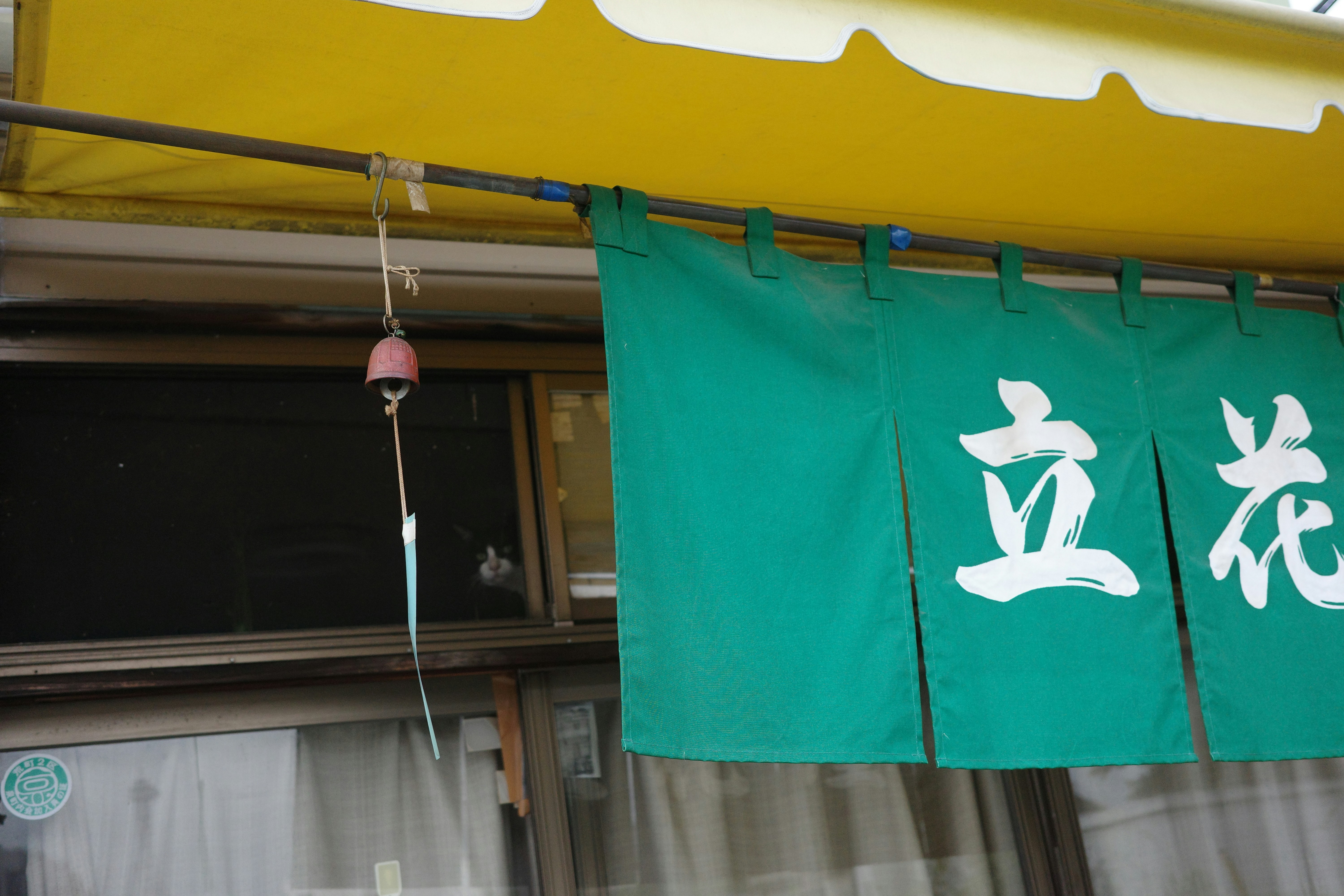 Under a Sunlit Canopy: Teal Noren, White Kanji, and a Pink Wind Chime