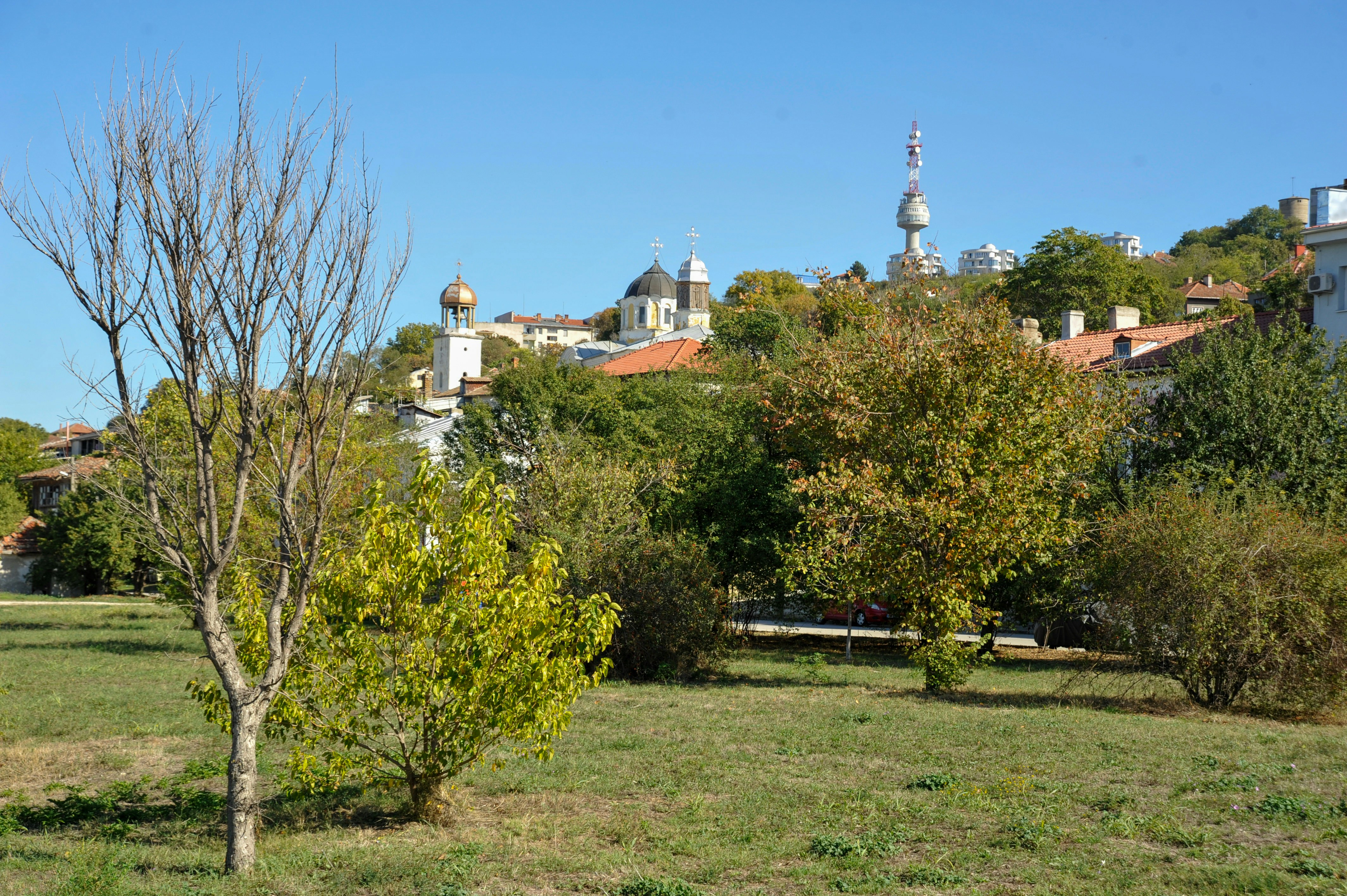 Midland Park: Sunlit Orchard Framing a Historic Skyline