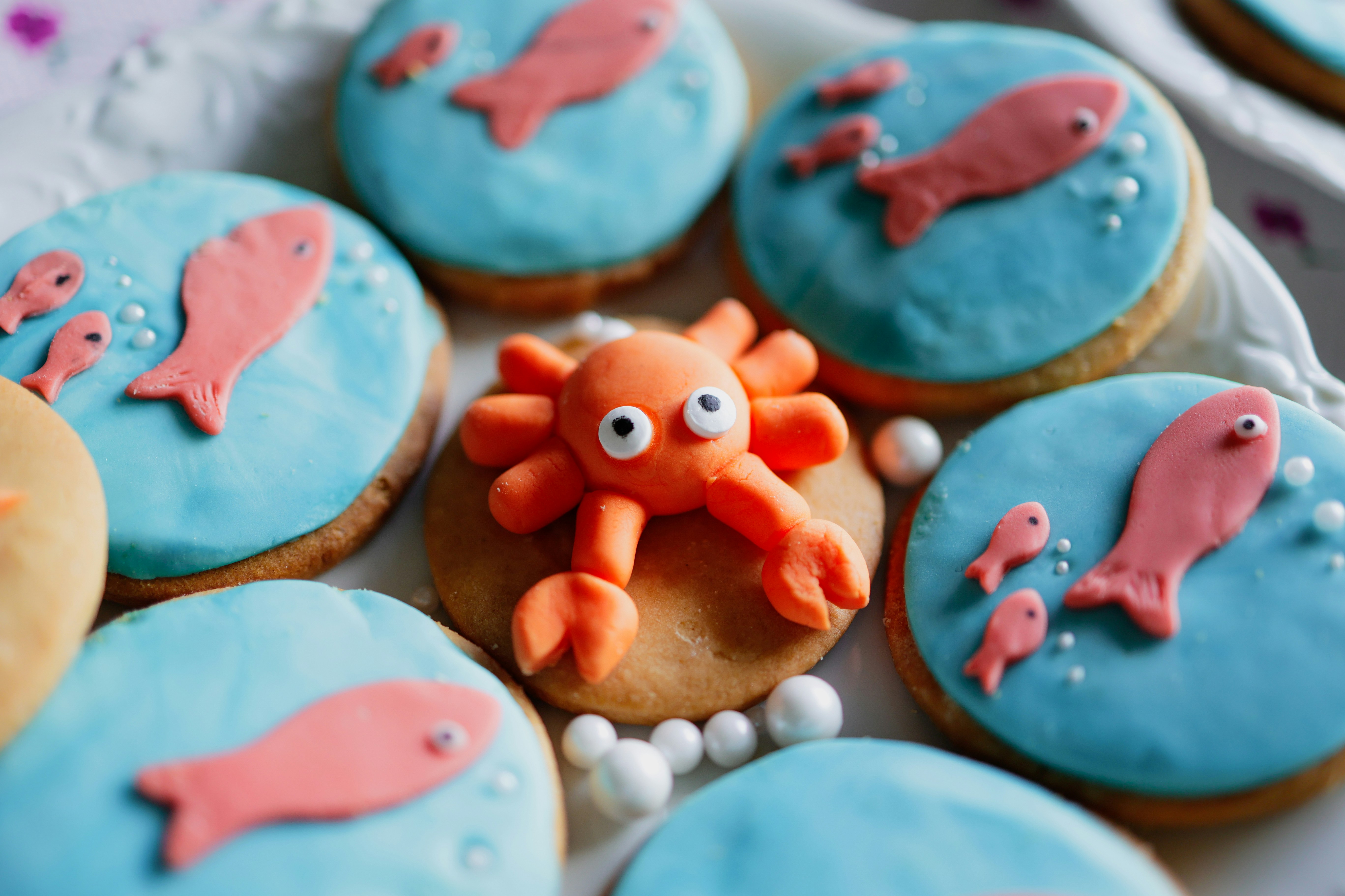 A close up of a plate of decorated cookies photo – Free Blue Image on ...