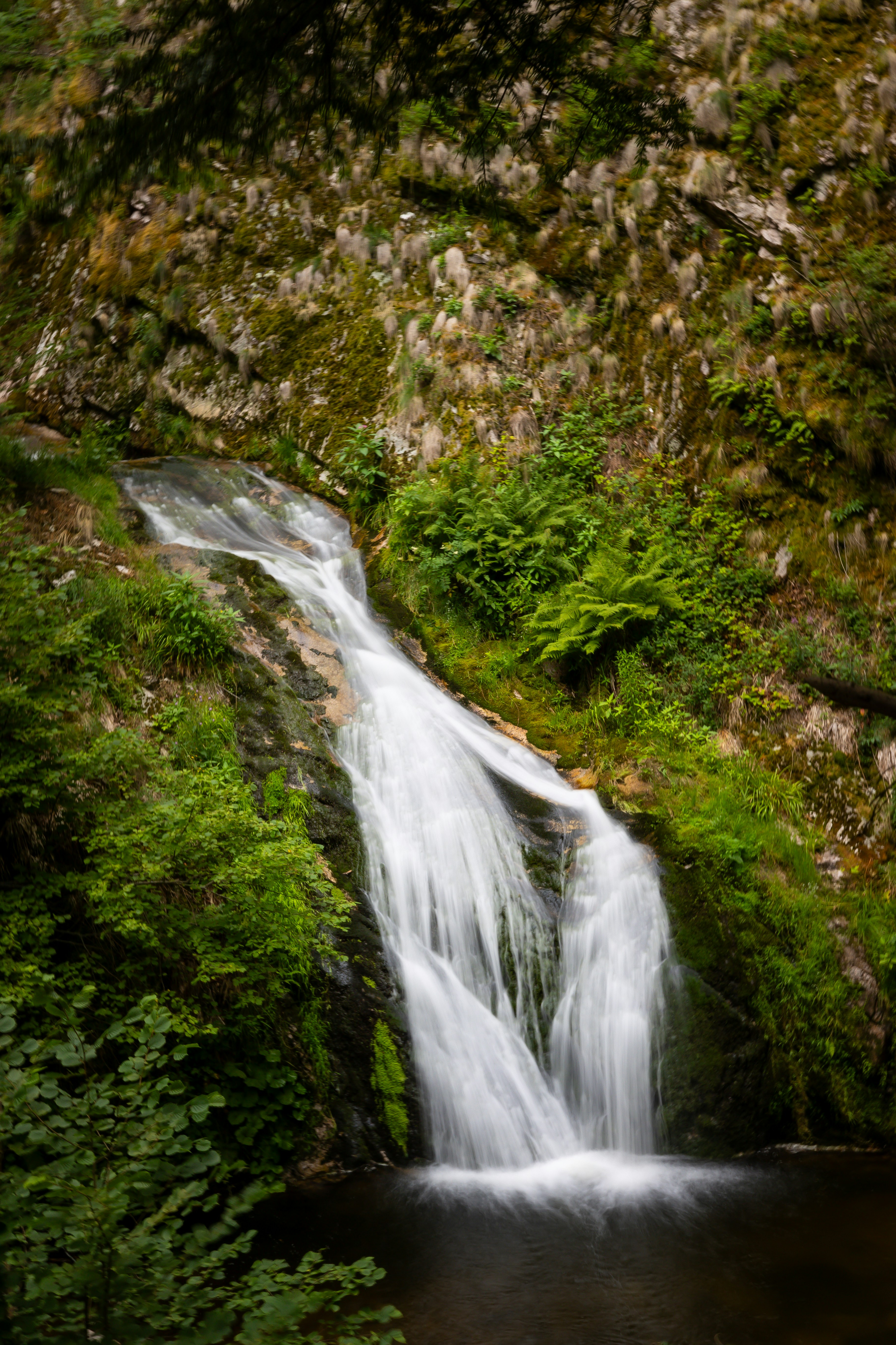 Photo by Praneeth Peiris with Canon EOS R6