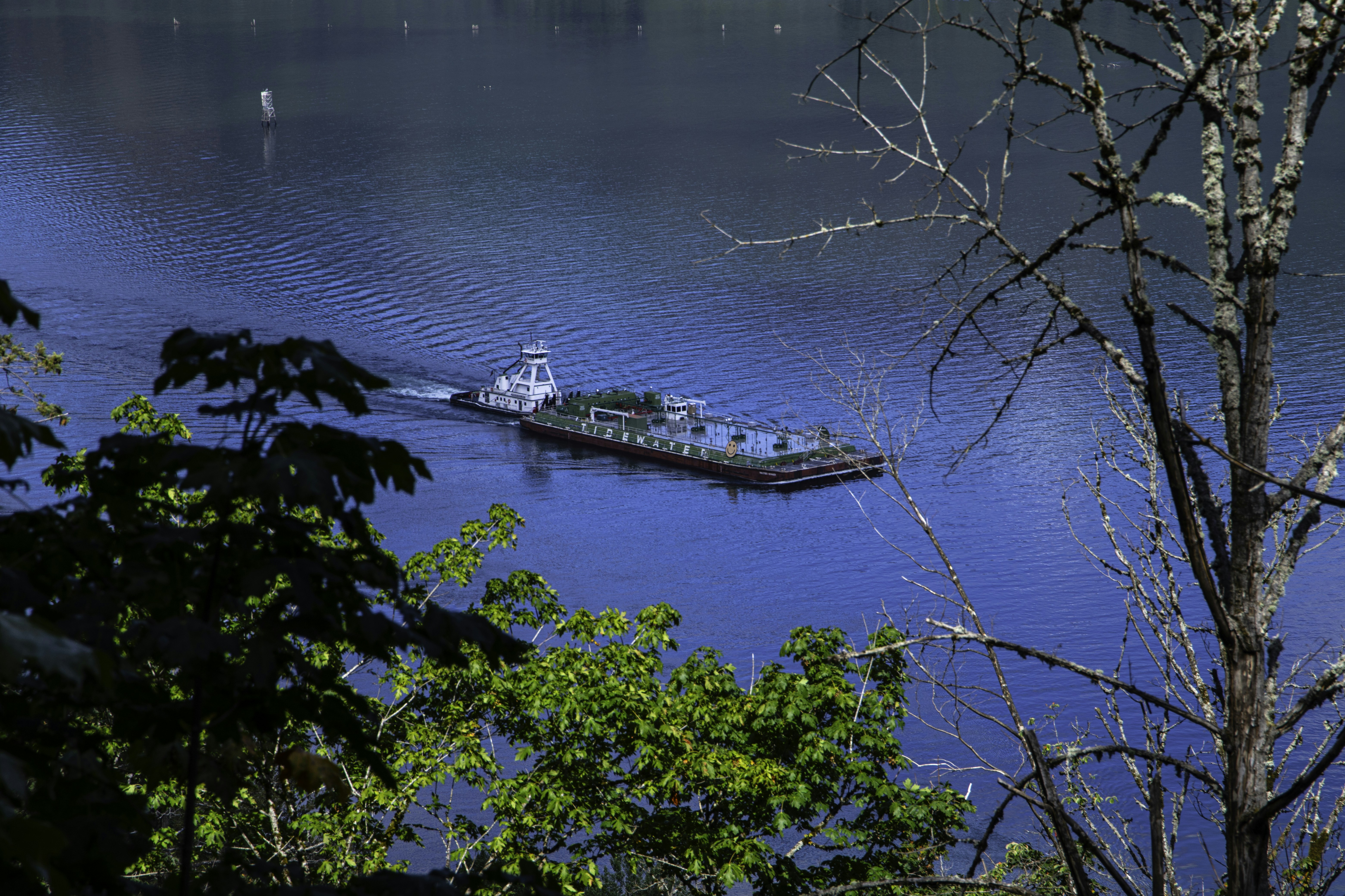 Azure Vessel Drifting Through a Quiet Bay