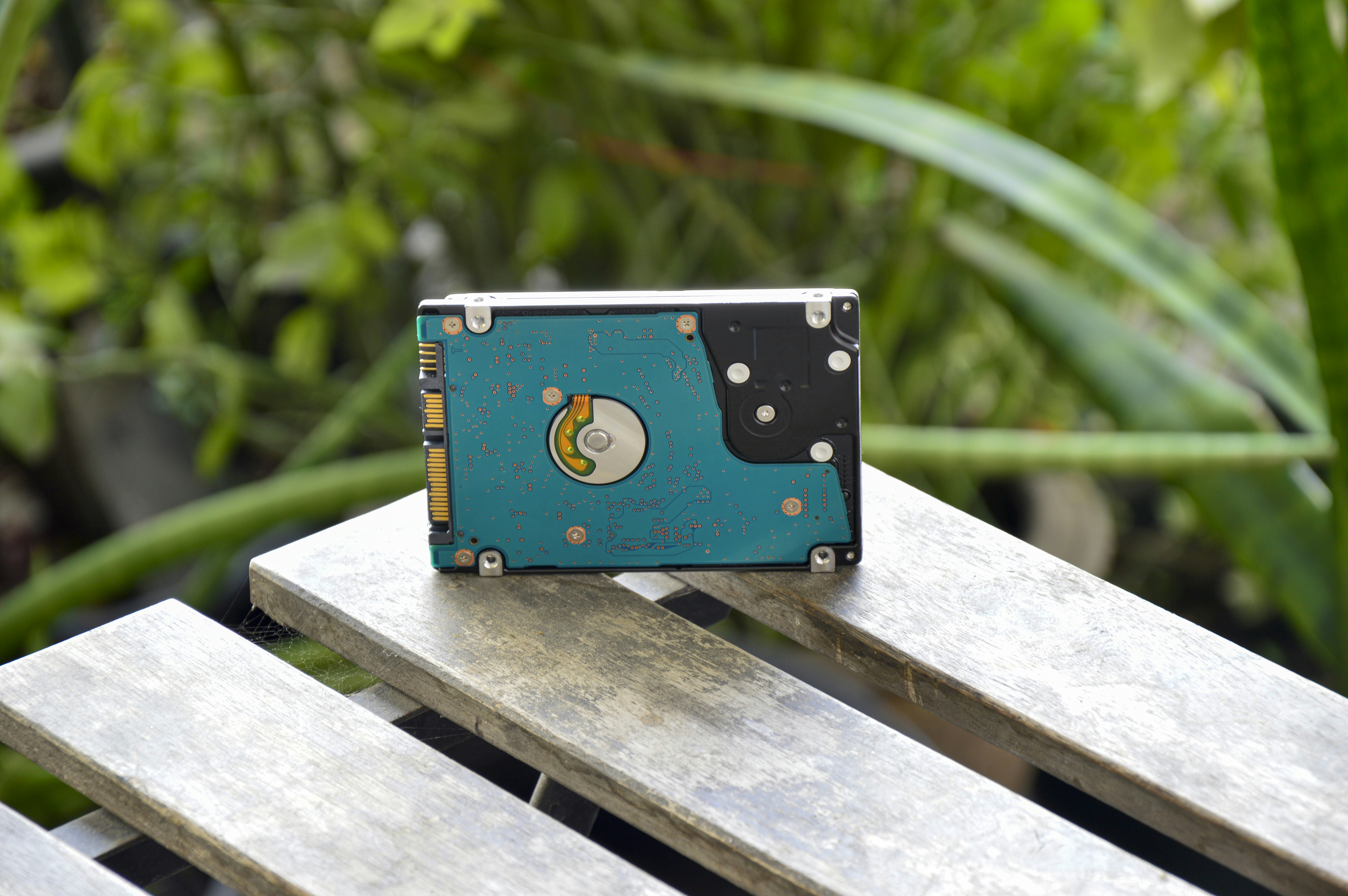 Teal External Drive Perched on Weathered Slats Amid Lush Greenery