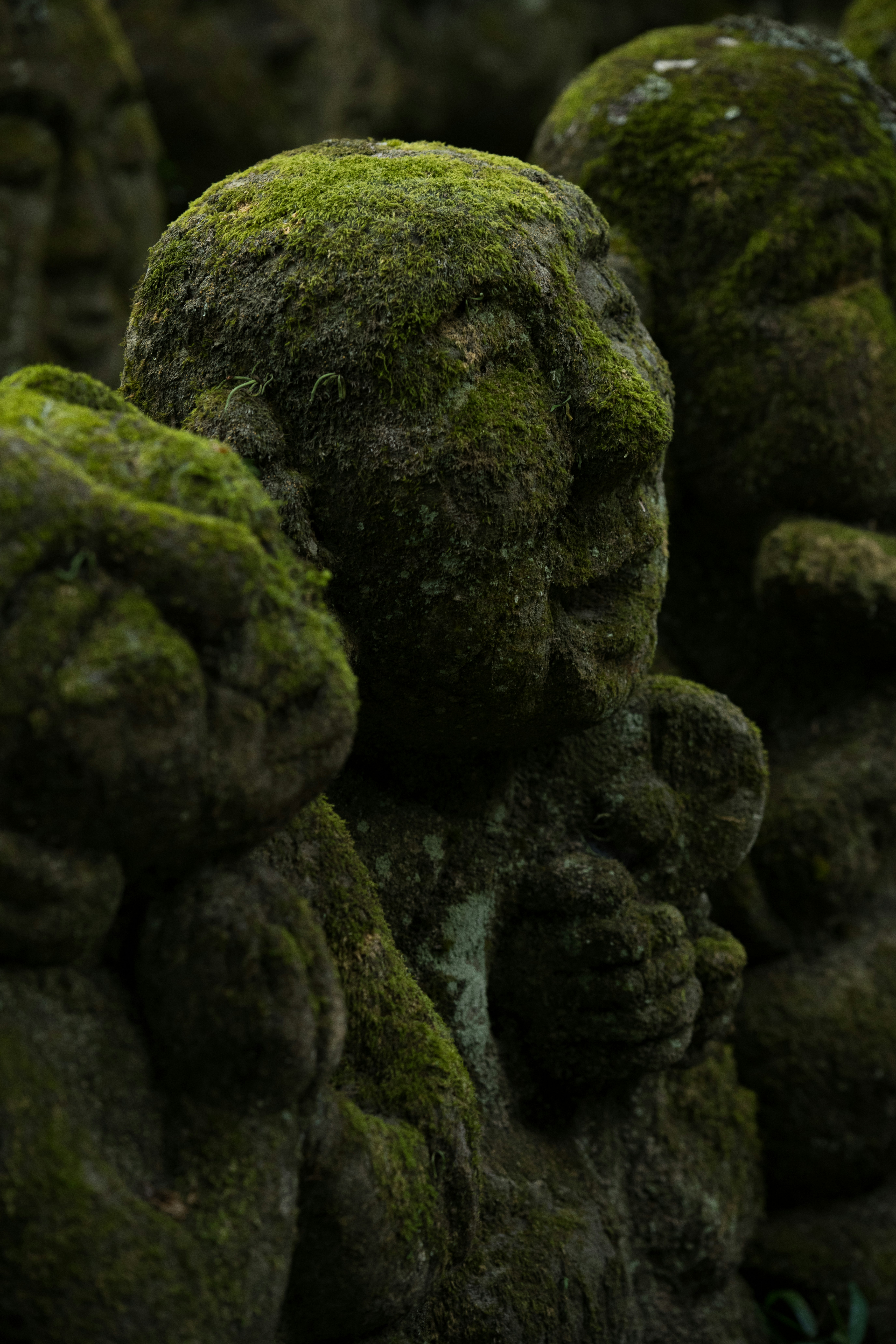 A group of statues covered in moss sitting next to each other photo ...