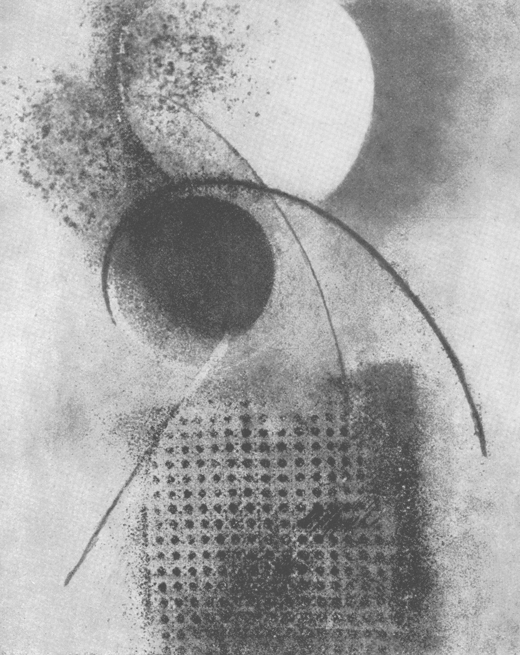 Abstract composition featuring circular forms and dynamic lines against a textured backdrop. The interplay of shapes creates a sense of movement.