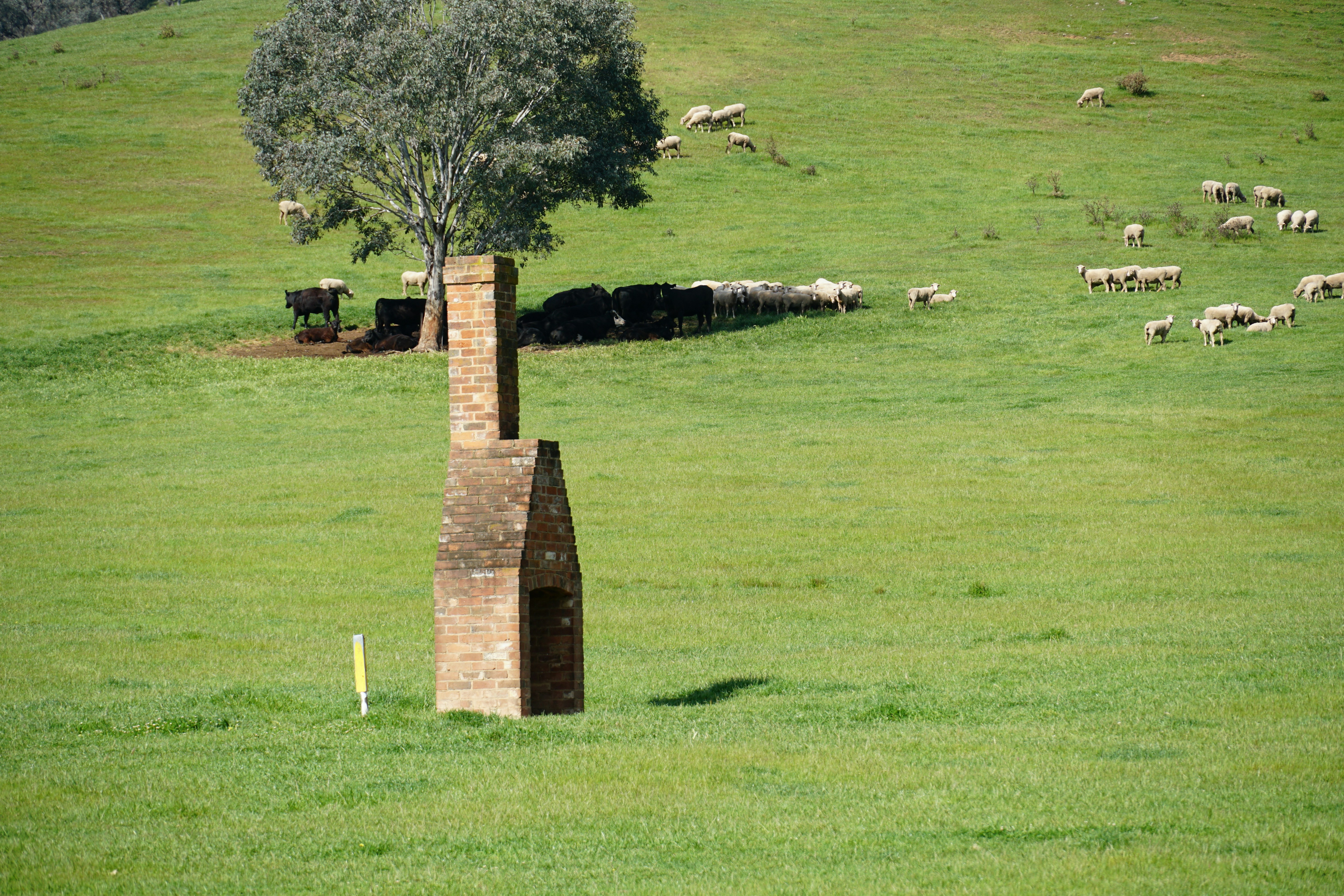 The Brick Gatekeeper: Lone Chimney Amid Rolling Pasture