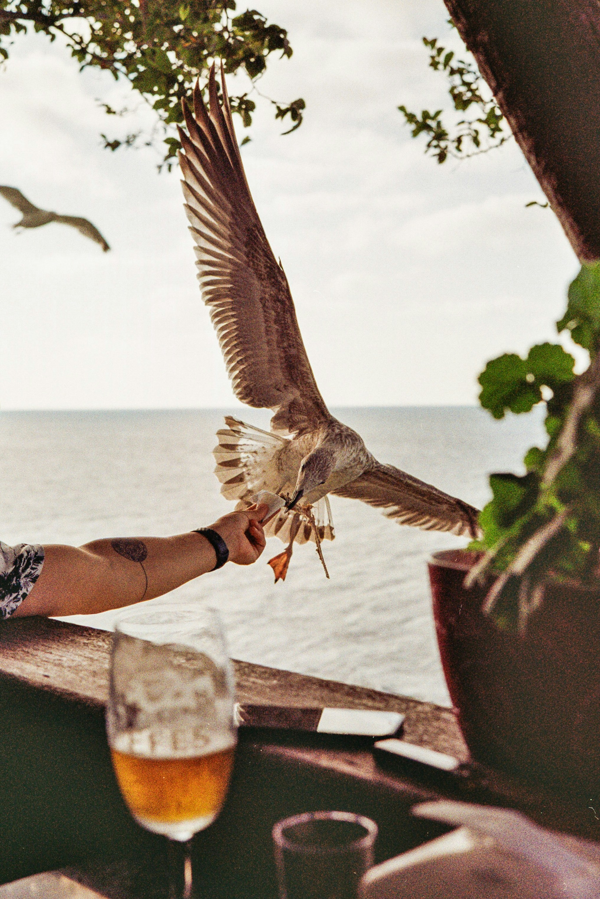 Sample photo from Minolta CLE