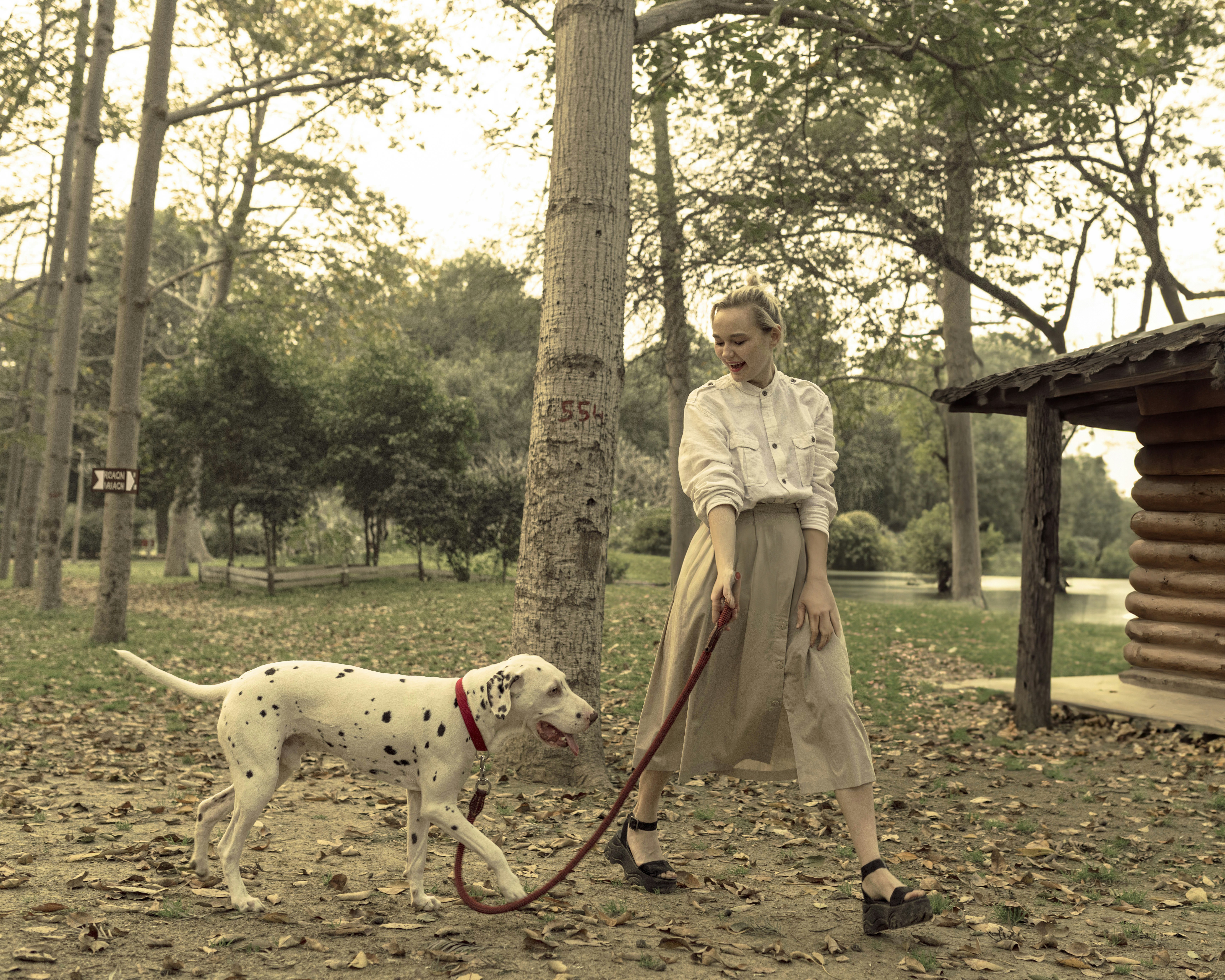 A woman walks a Dalmatian dog along a leaf-strewn path in a tranquil park, framed by trees and a rustic cabin.