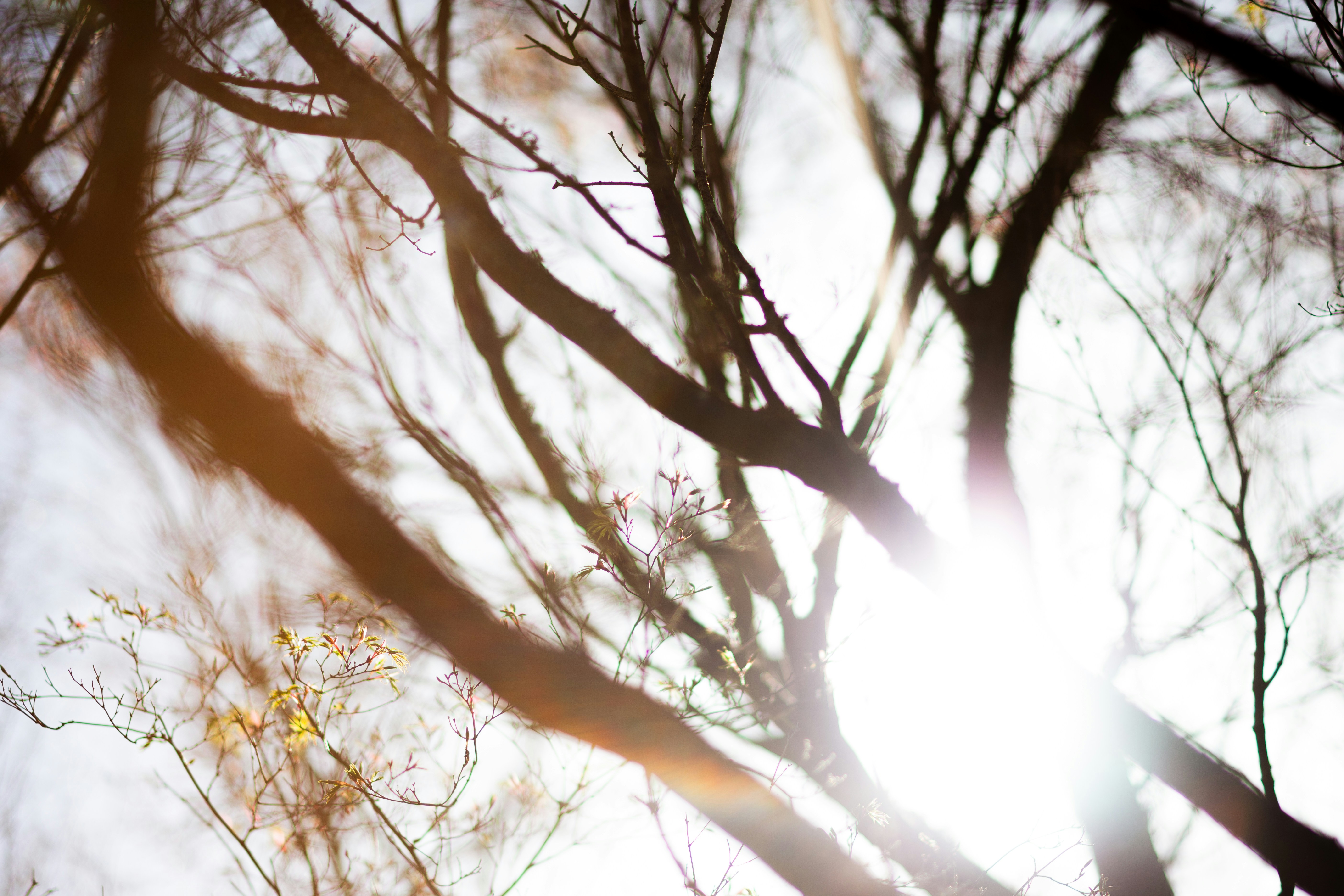 Hayden Graham (@haydengraham) | Unsplashフォトコミュニティ