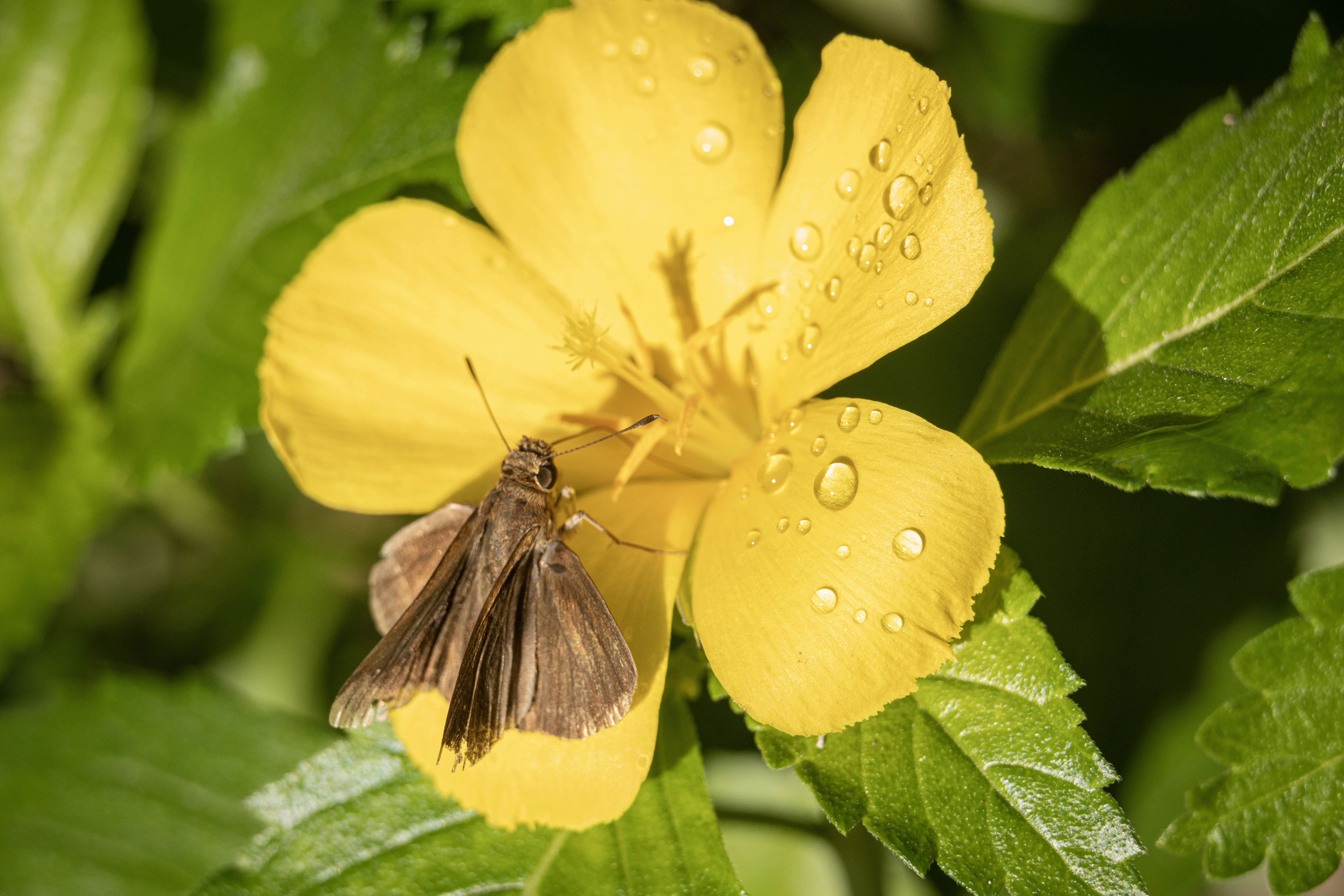 Photo by Alfonso Betancourt with Canon EOS R