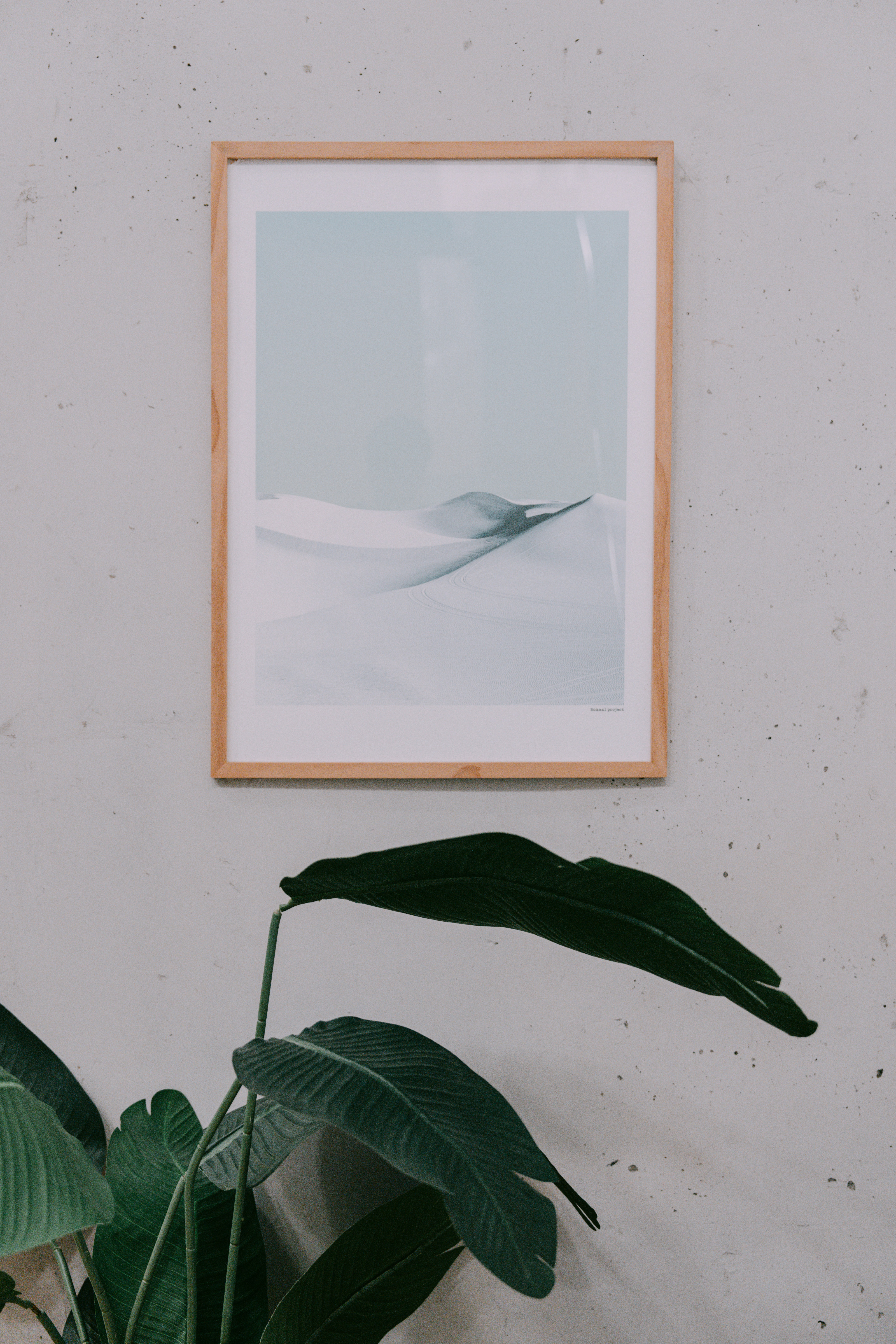 Pastel Dune Study in a Wooden Frame, Grounded by Tropical Leaves