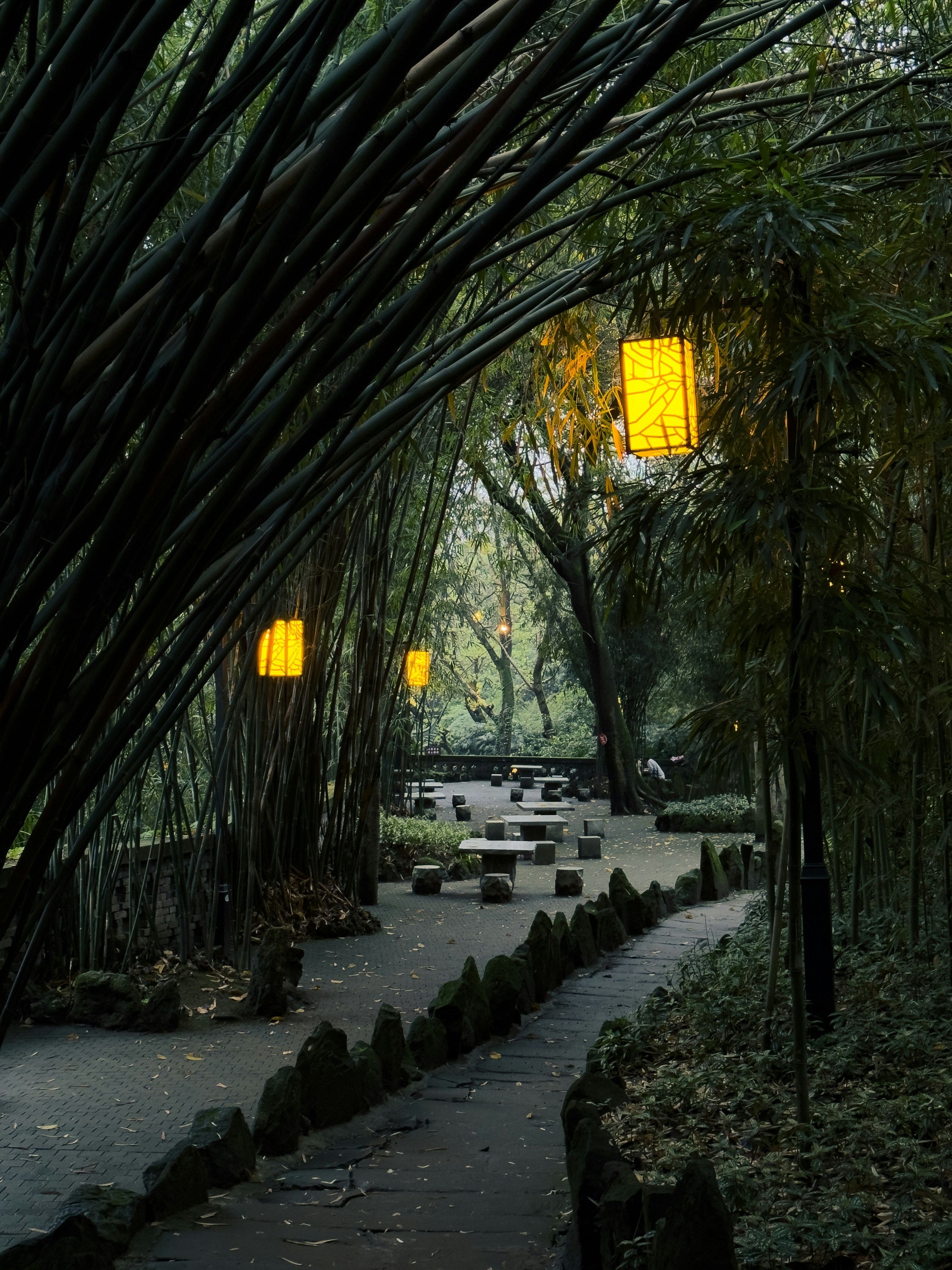 Photo by 小伟 王 with Apple iPhone 15 Pro Max