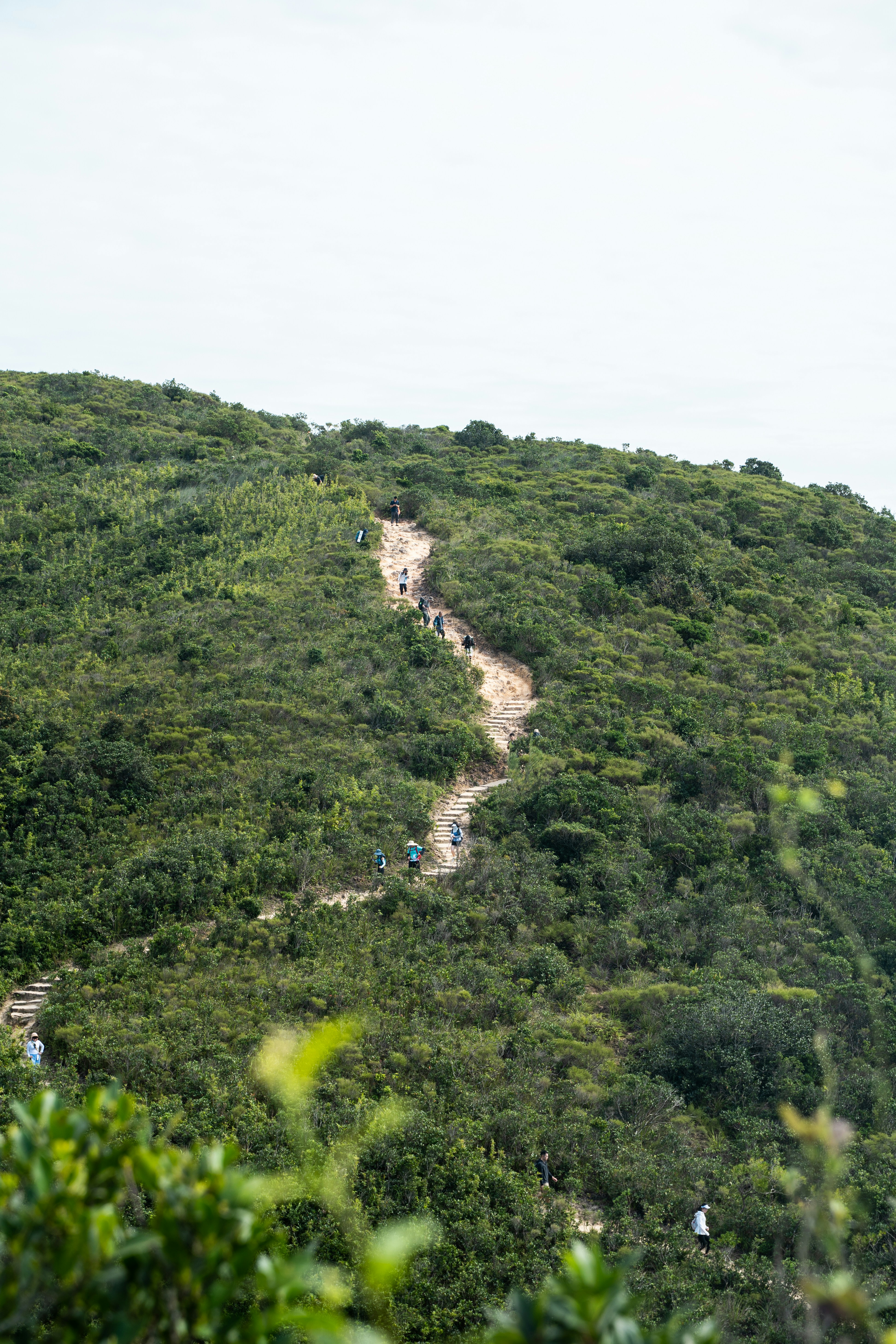 The winding trail of Sai Wan Shan, surrounded by lush greenery and stunning mountain vistas.